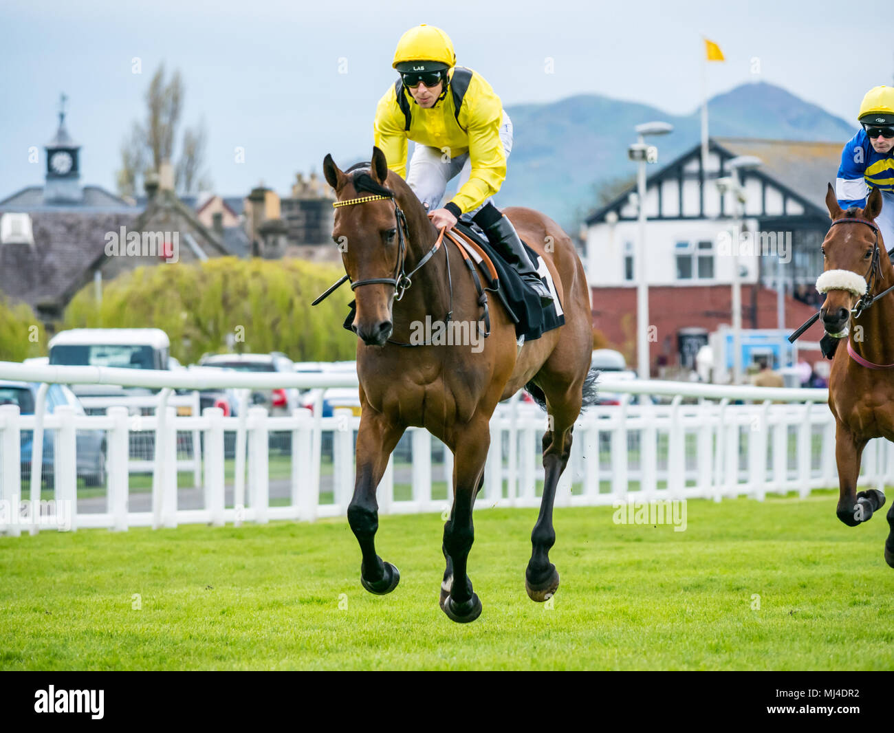 Scotland Horse Race High Resolution Stock Photography and Images - Alamy