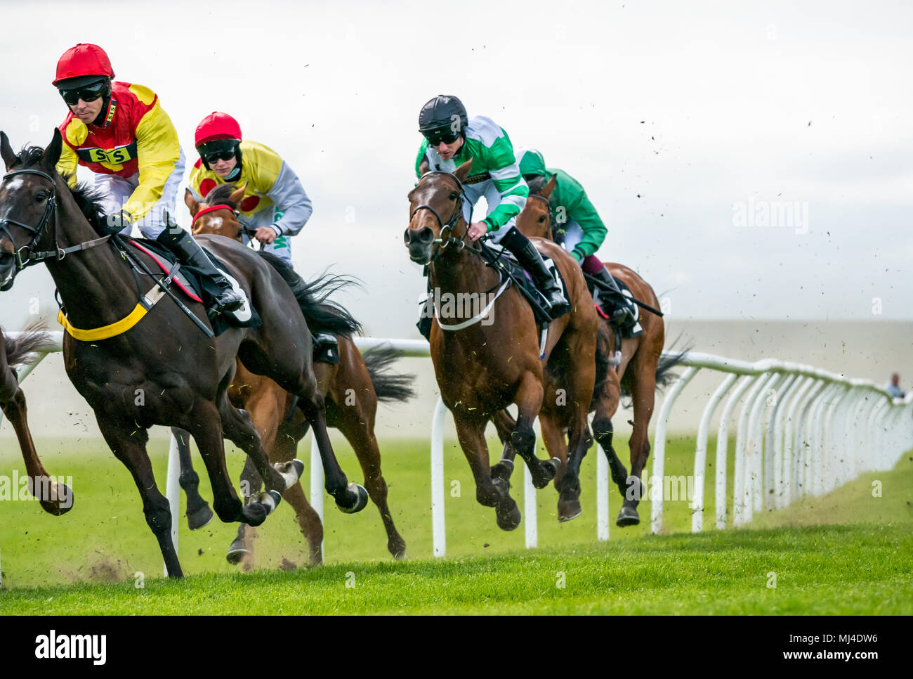 Musselburgh, Scotland, 4 May 2018. Musselburgh Race Course, Musselburgh ...