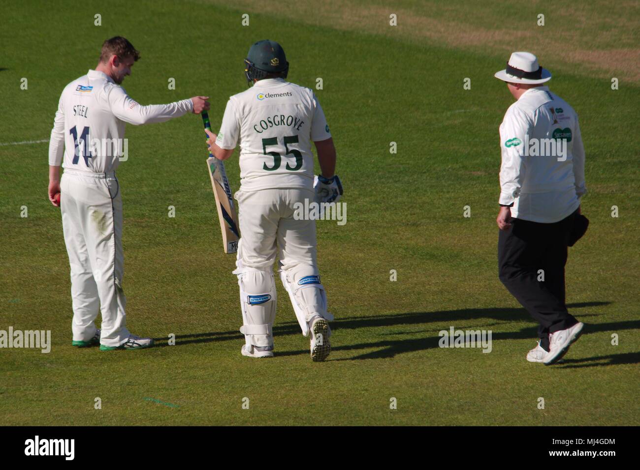 Mark cosgrove cricket hi-res stock photography and images - Alamy
