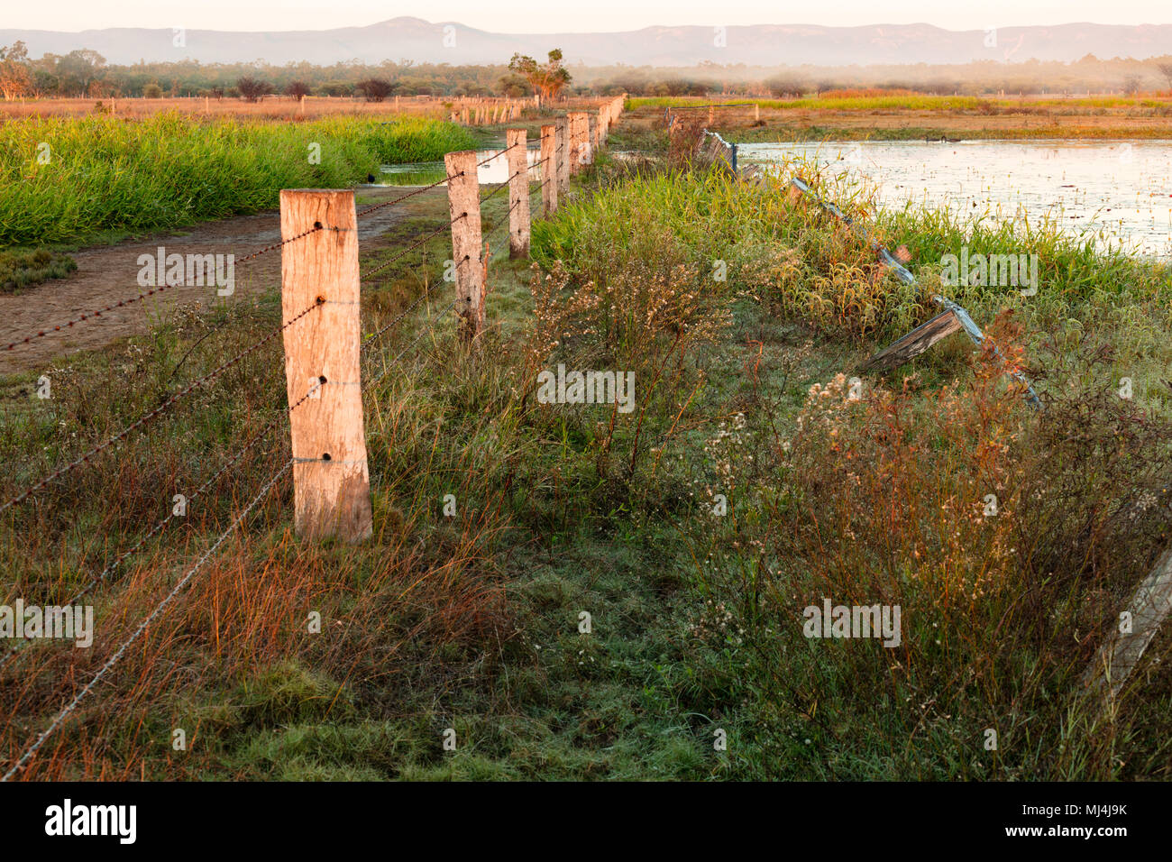 Saint Lawrence, Queensland, Australia. Misty dawn at Saint Lawrence ...