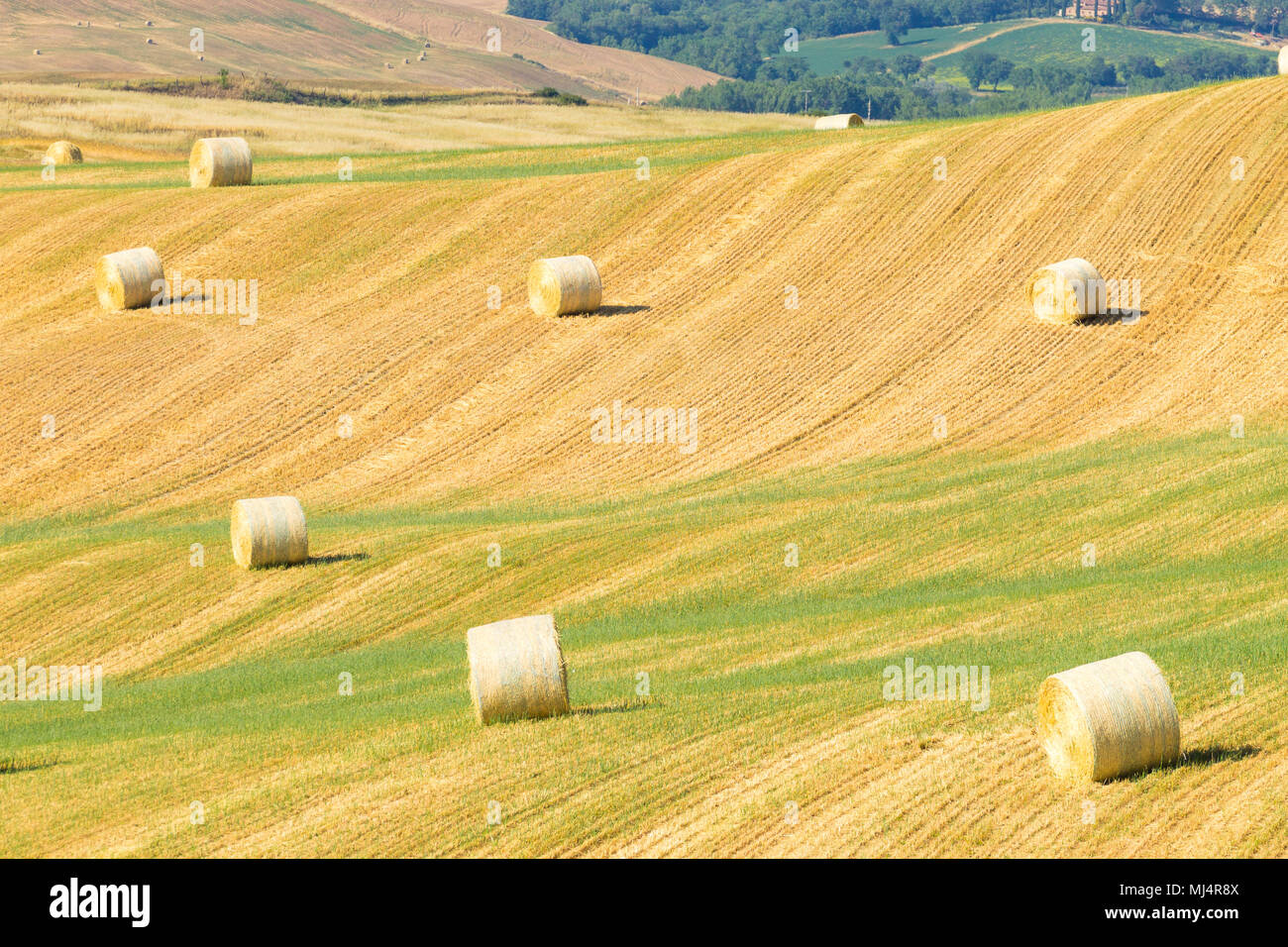 Tuscany hills landscape, Italy. Rural italian panorama Stock Photo - Alamy