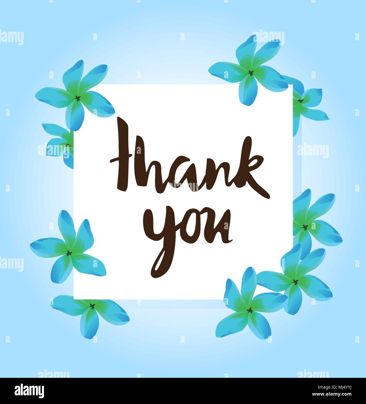 Thank you card red rose Stock Vector Images - Alamy