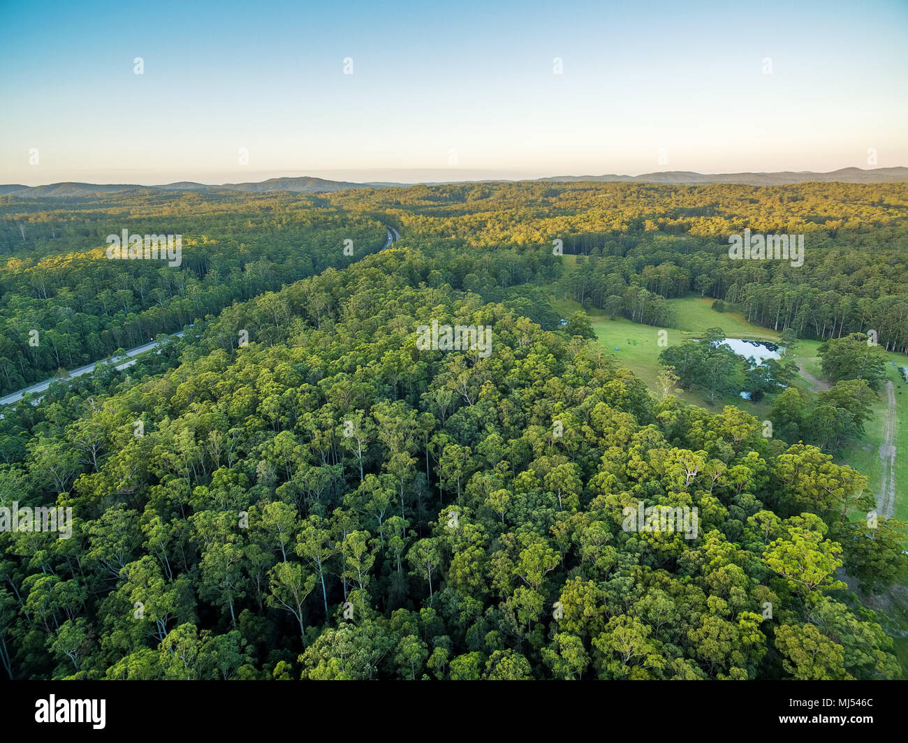 Aerial view of native Australian forests and Pacific Highway in New ...