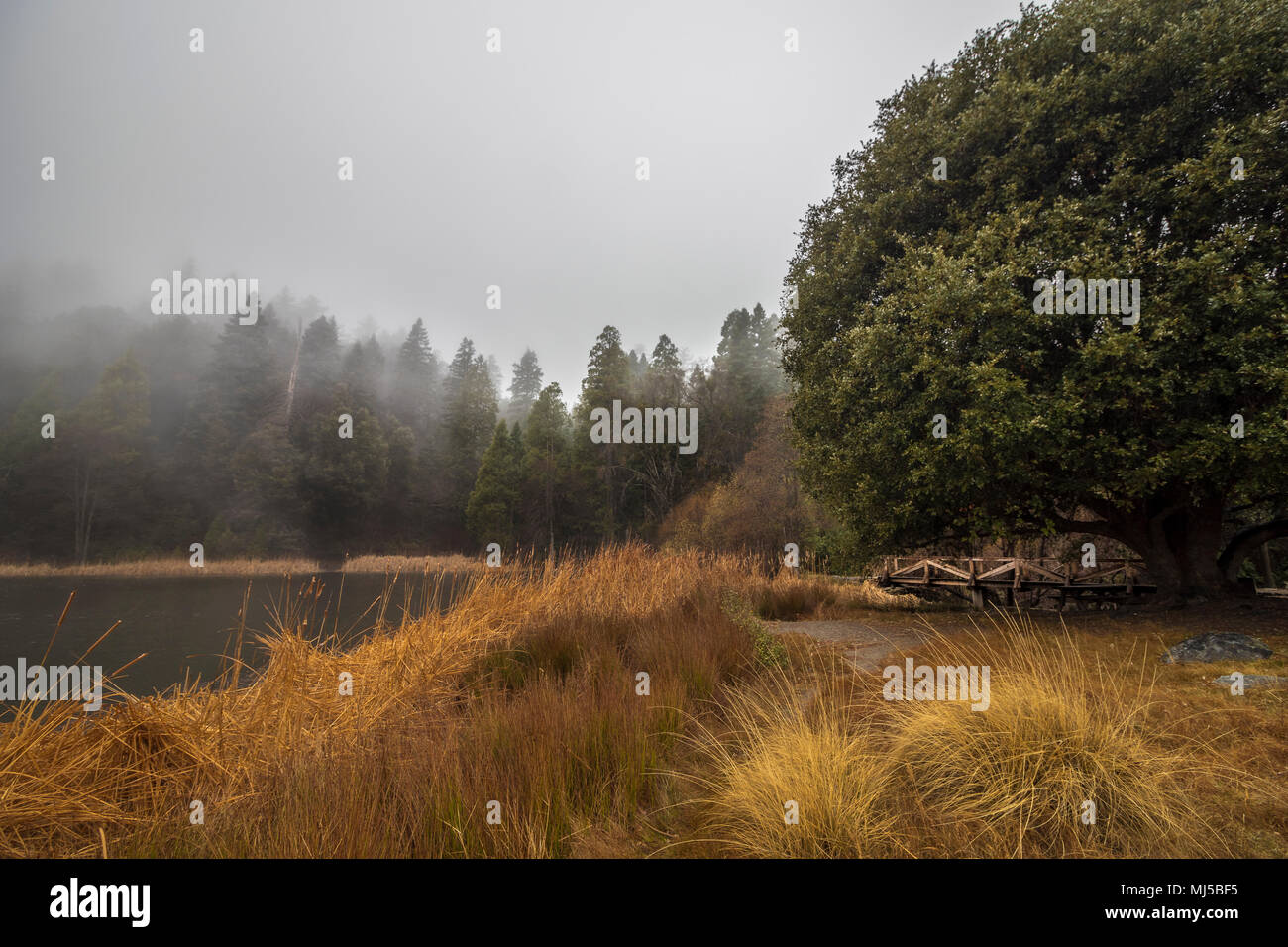Curved pond hi-res stock photography and images - Alamy