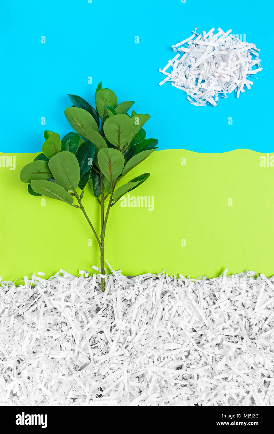 Green tree growing in recycled shredded paper under the blue sky ...