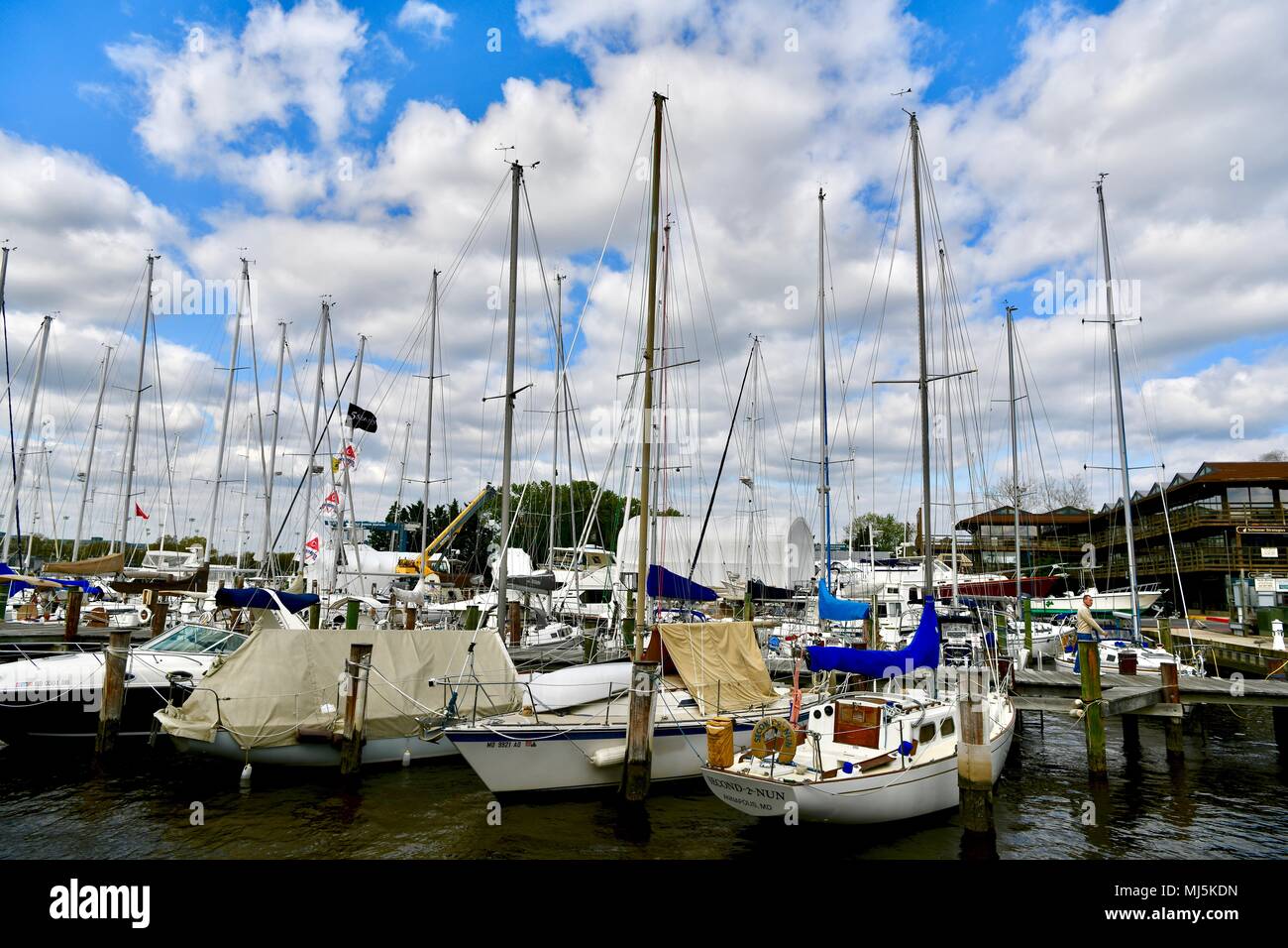 Annapolis harbor chesapeake bay sail boats hi-res stock photography and ...