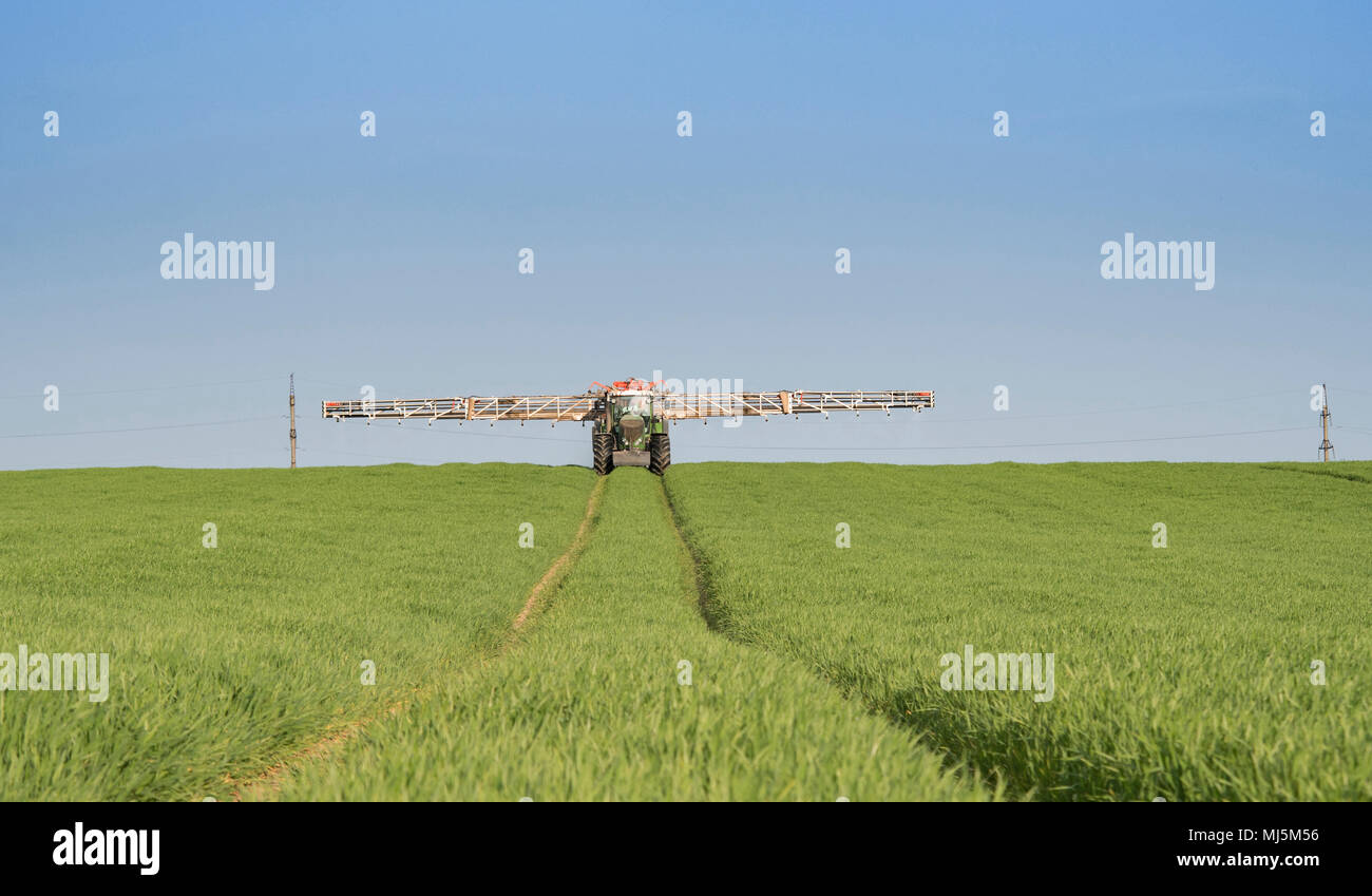 Tractor spraying wheat field with sprayer Stock Photo - Alamy