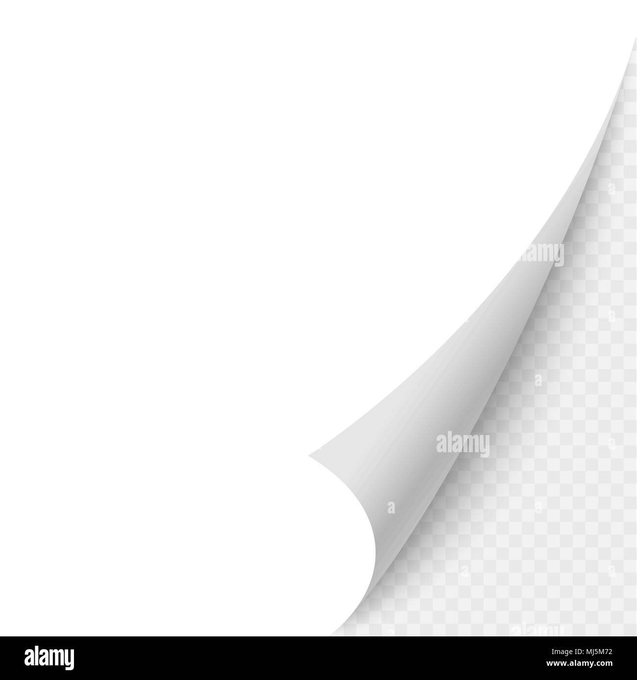 Paper blank page curled corner with shadow. Vector template ...