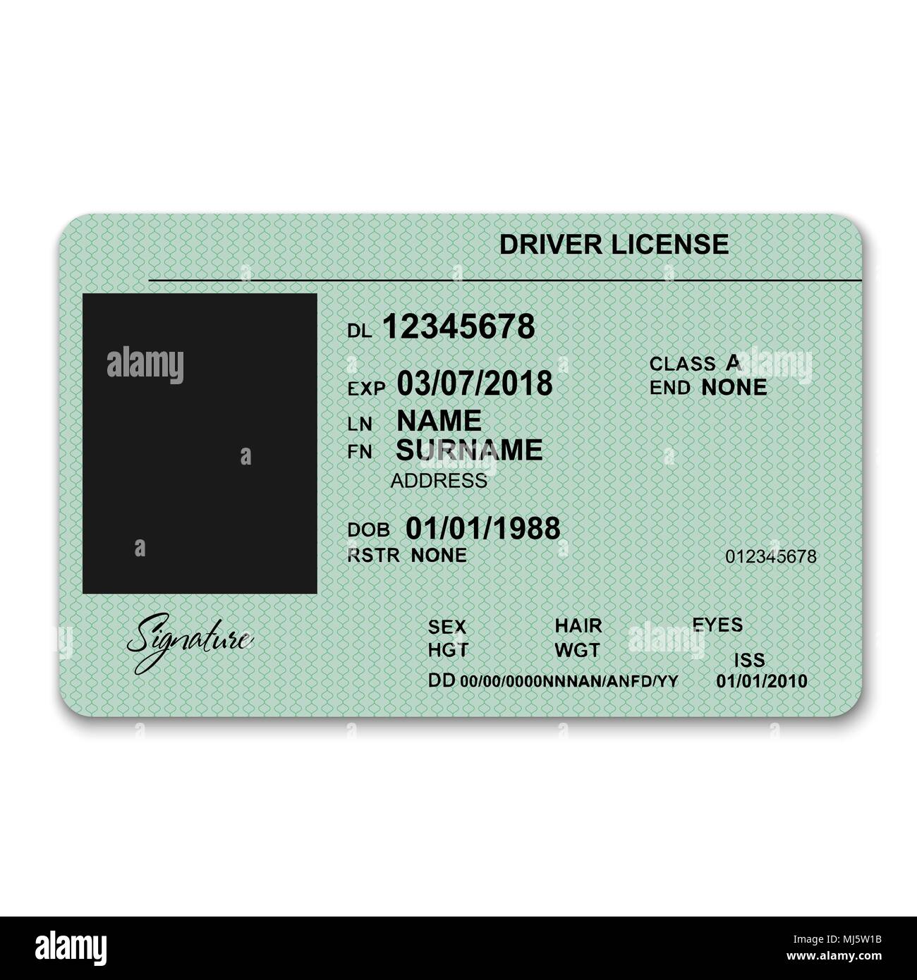 Blank Drivers License