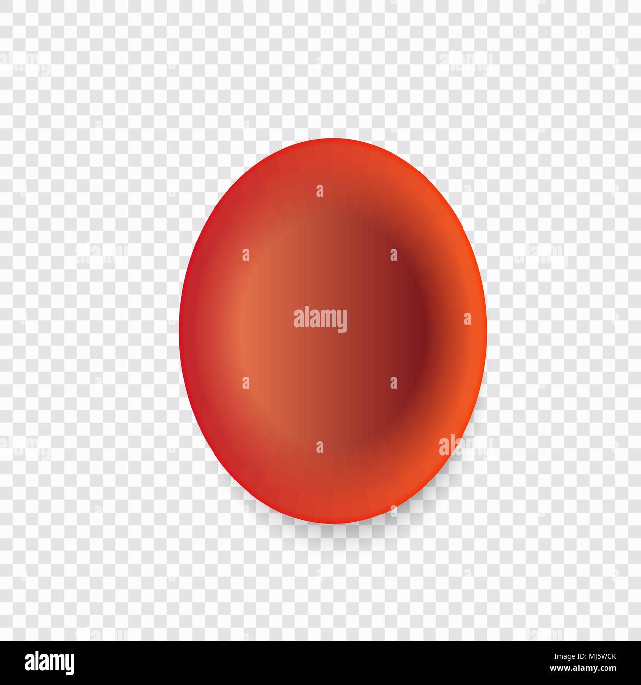 red blood cell or erythrocytes isolated on white background Stock ...