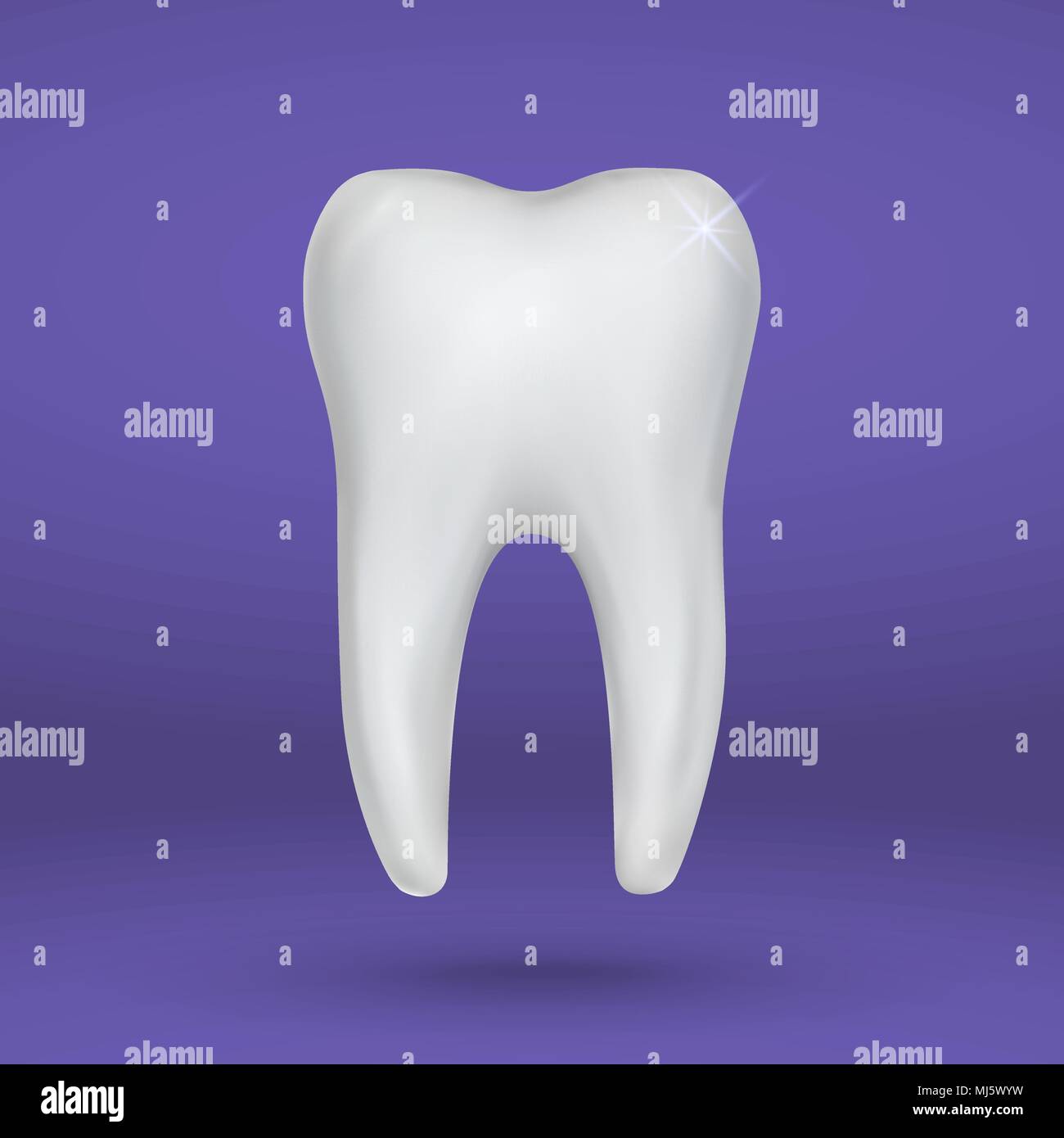 Realistic 3d Tooth Isolated Stomatology Icon Stock Vector Image & Art ...