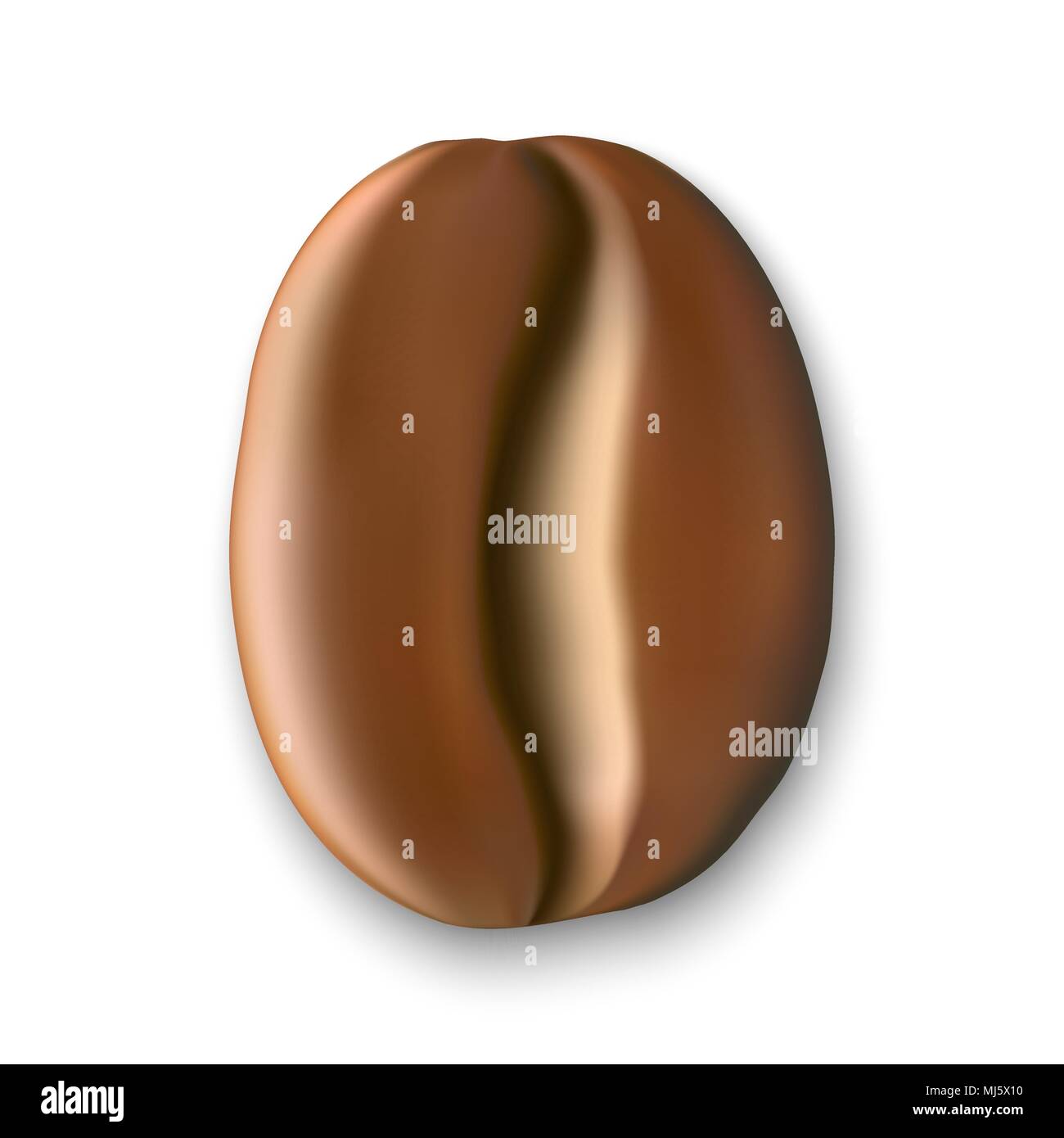 Single Coffee Bean Vector