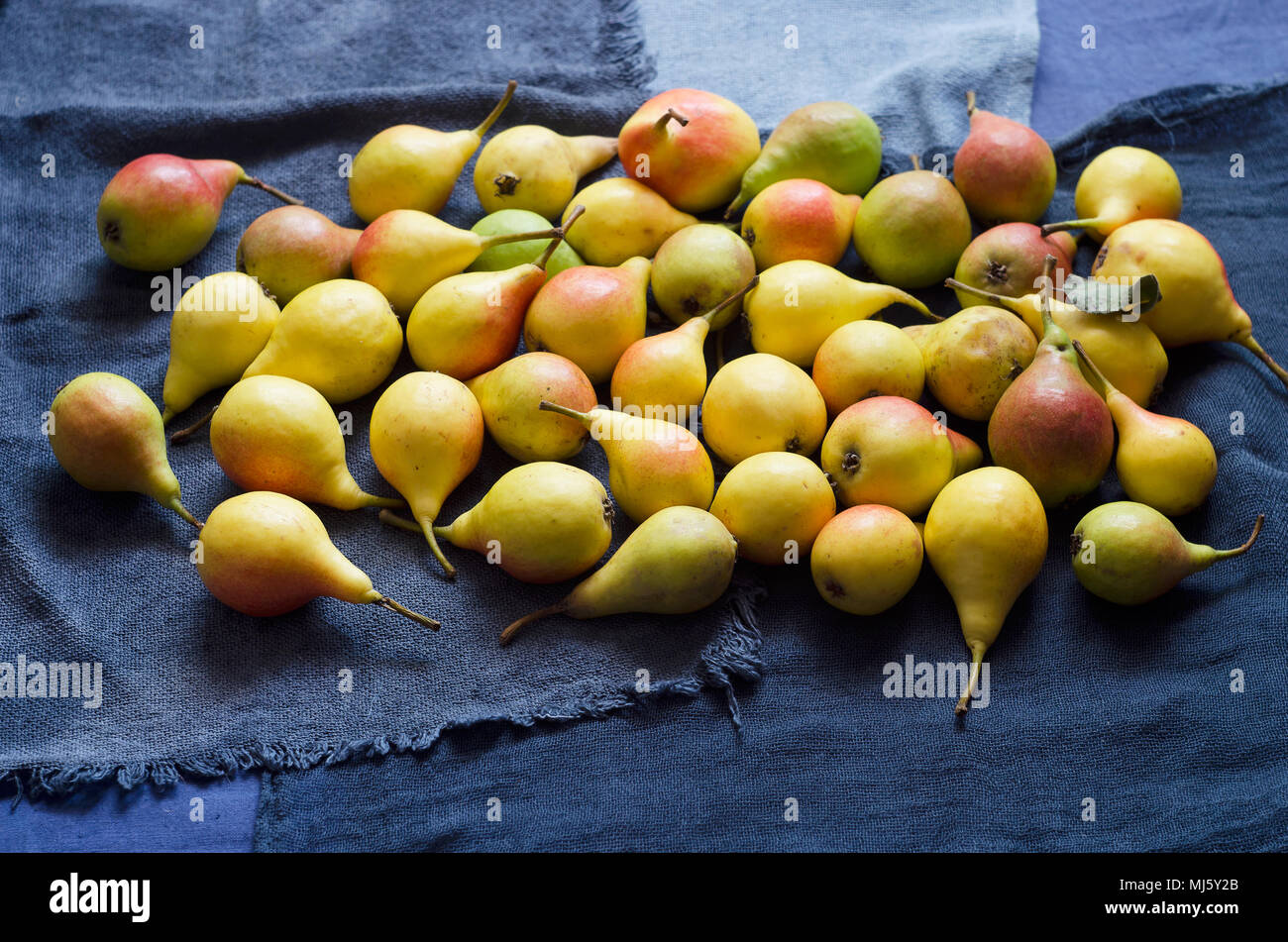 Multiple colorful pears over rustic blue cloth Stock Photo - Alamy