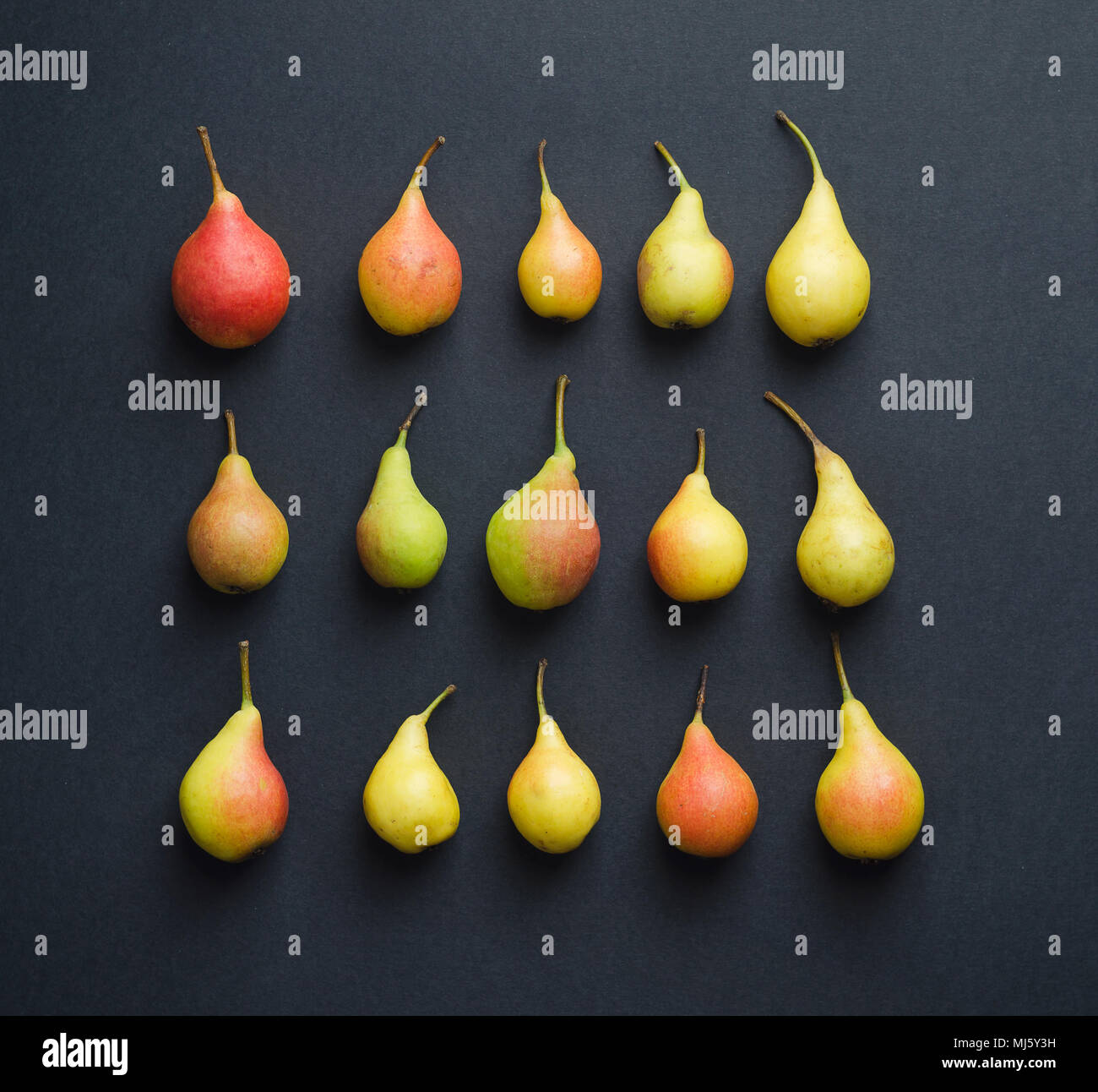 Multiple colorful pears organized in a row over black background Stock ...