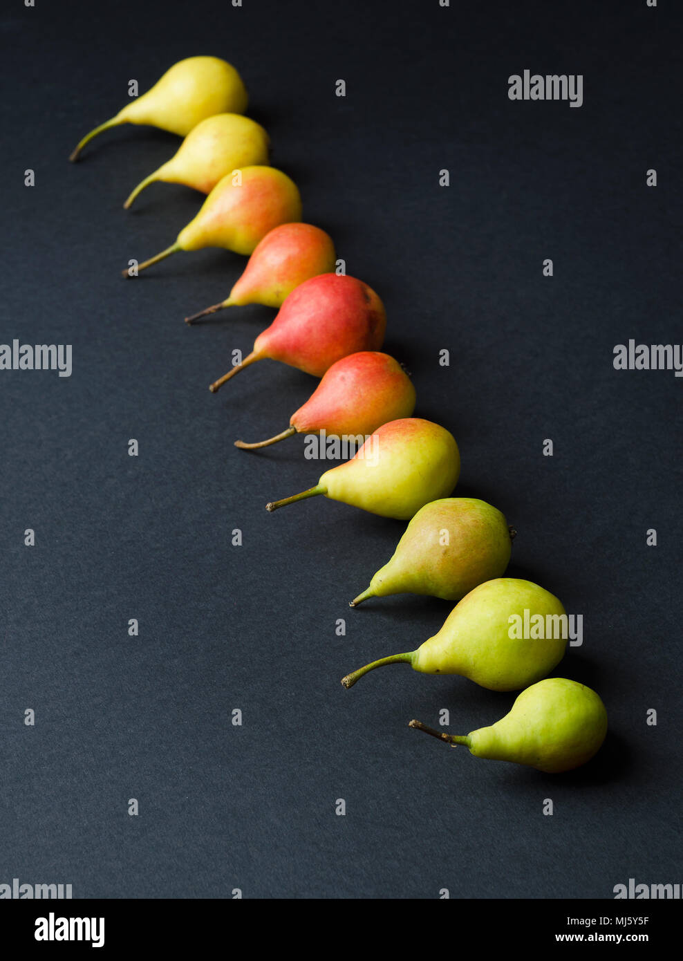 Multiple colorful pears organized in a row over black background Stock ...