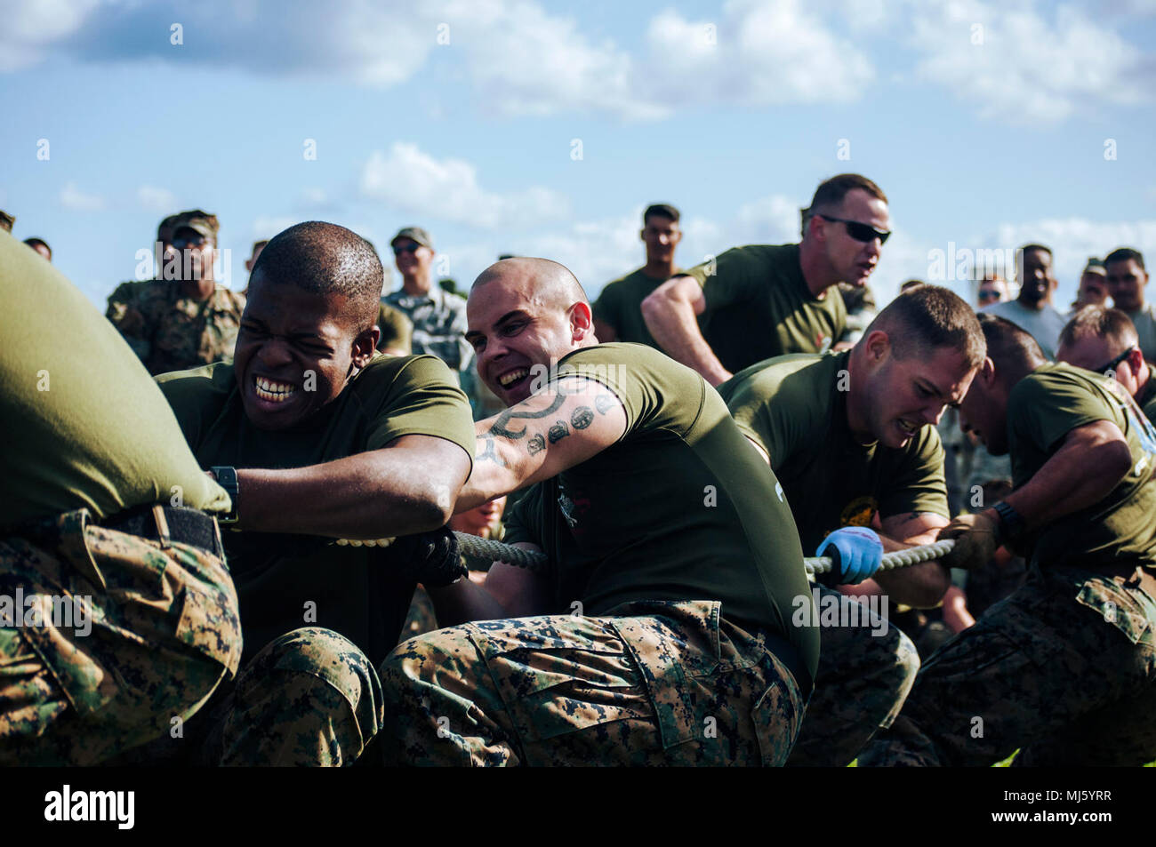 U.S. Marines, Company, 9th Engineer Support Battalion, 3rd Marine ...