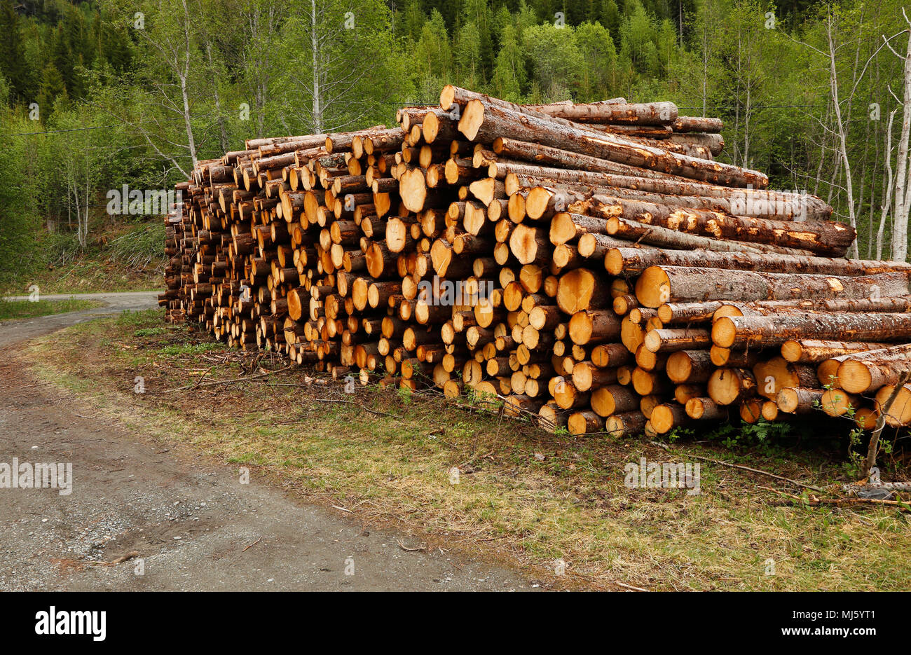 A pile of lumber Stock Photo - Alamy