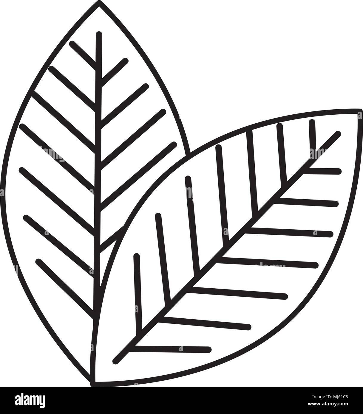 leaf single decorative icon Stock Vector Image & Art - Alamy