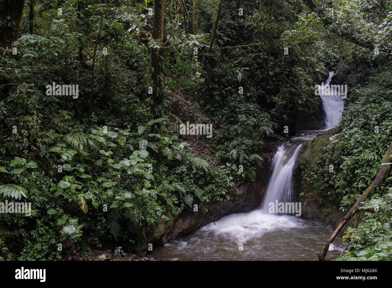 A waterfall in Monteverde Cloud Forest Reserve, Costa Rica ...
