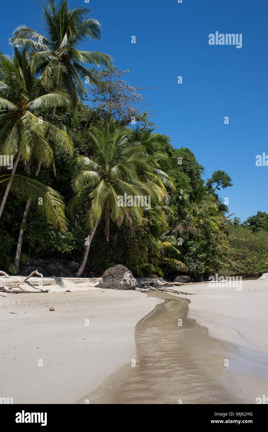 Coiba National Park, Gulf of Chiriqui, Panama, Centroamerica Stock ...