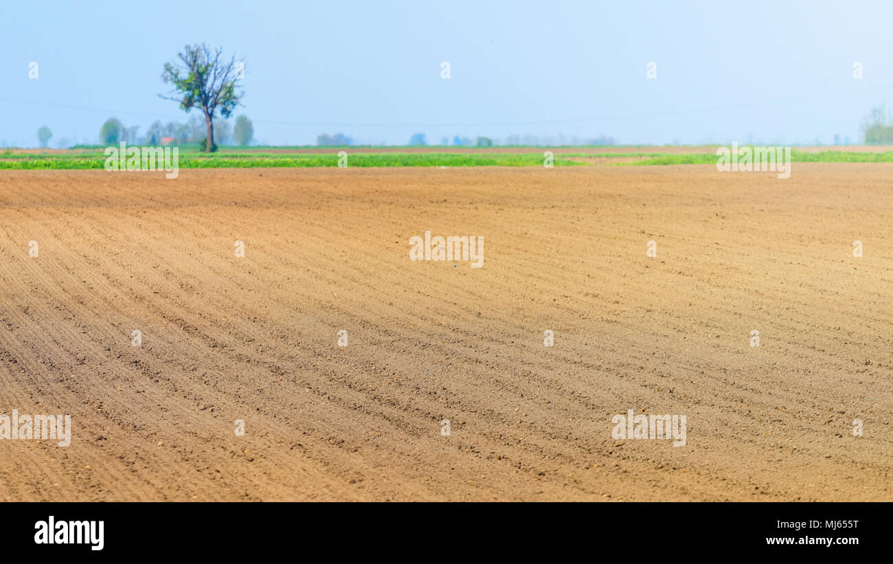Sowed field hi-res stock photography and images - Alamy