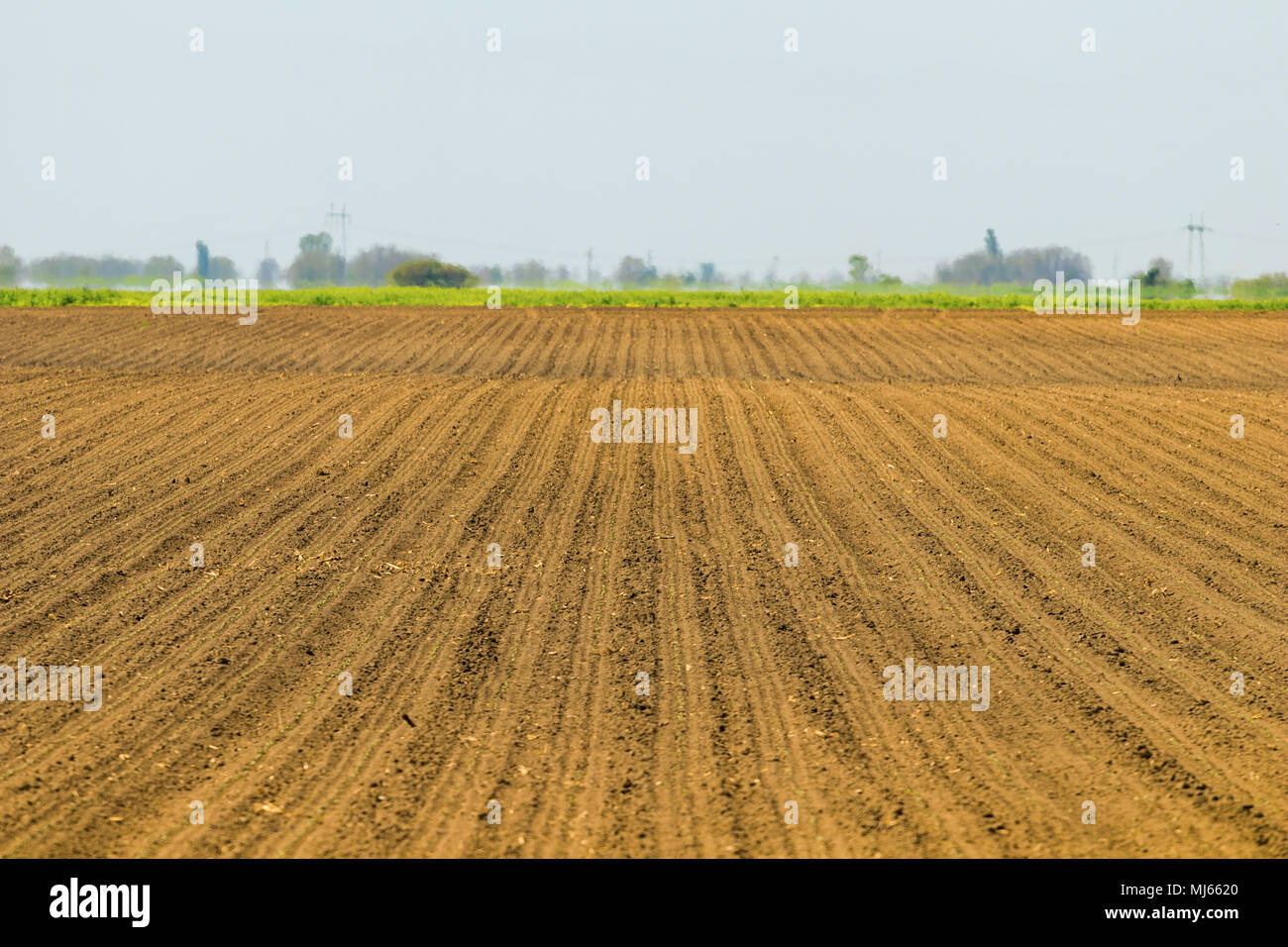 Sowed field. Agricultural fields in spring. Sowing crops Stock Photo ...
