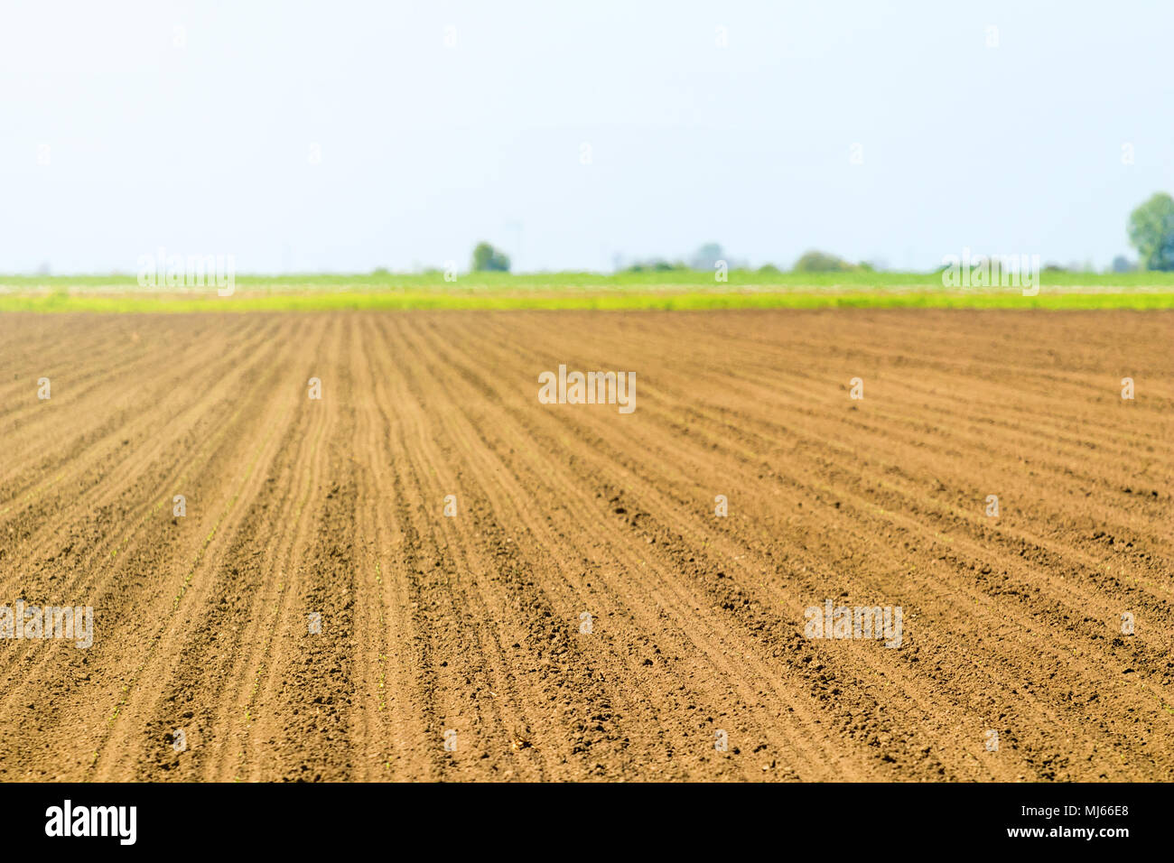 Sowed field hi-res stock photography and images - Alamy