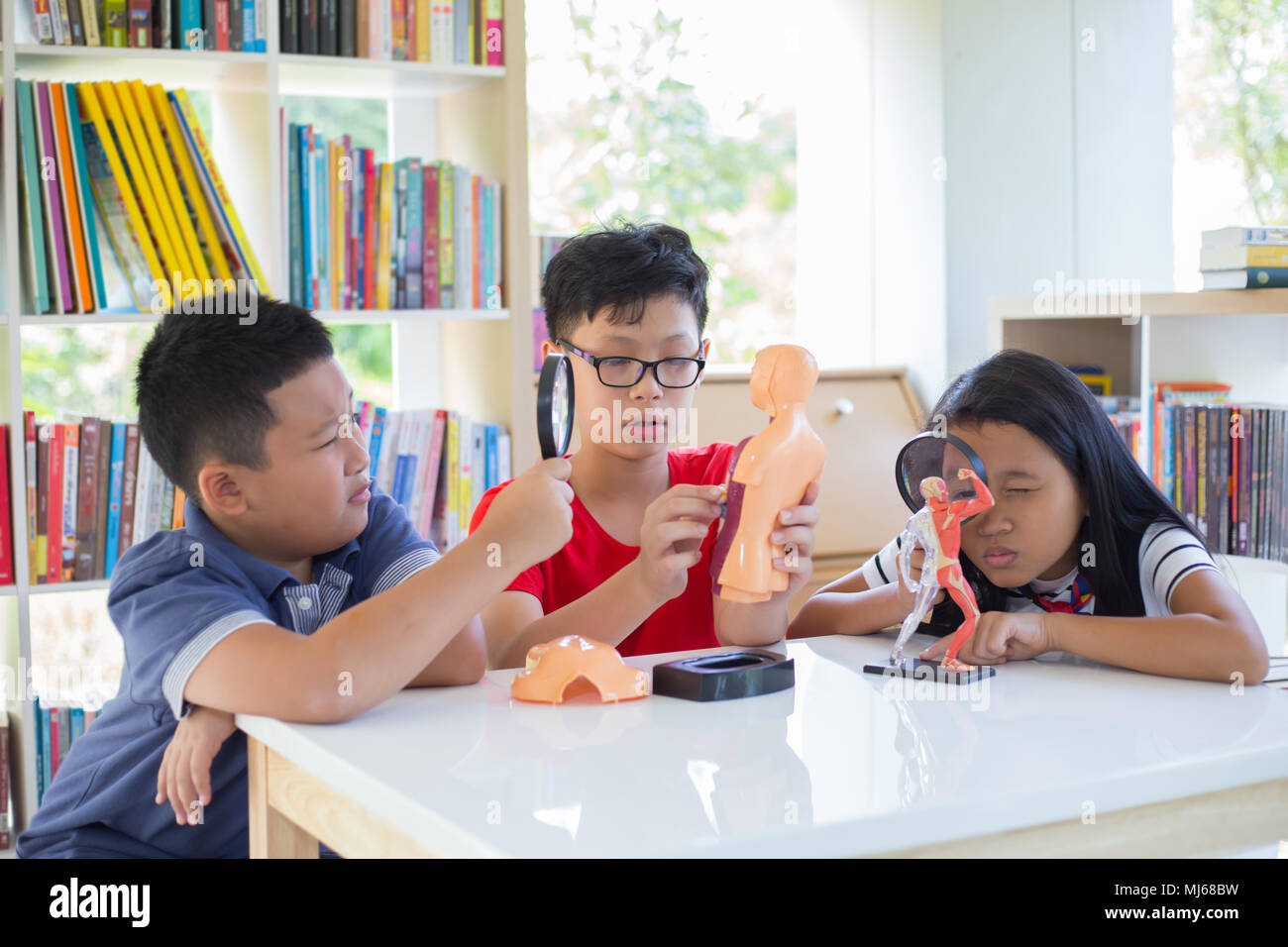 Human anatomy class child hi-res stock photography and images - Alamy