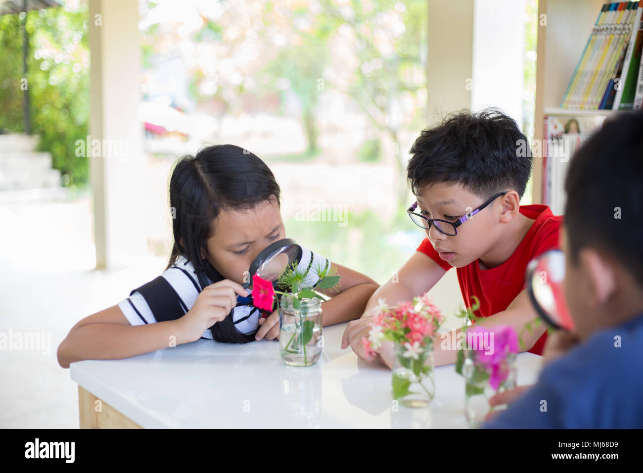 Group of students observing and learning flower by magnifying glass on ...