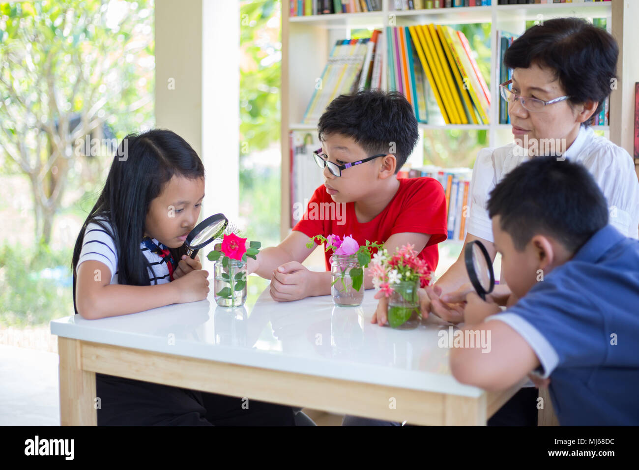 Group of students with woman teacher observing and learning flower by ...
