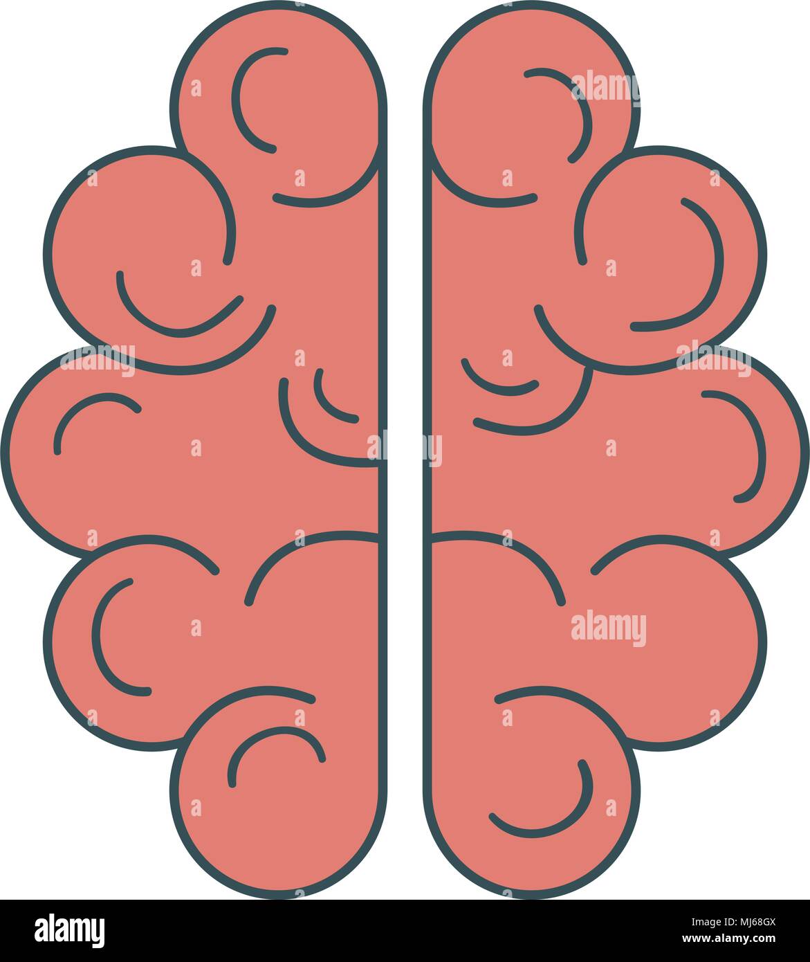 human brain organ icon Stock Vector Image & Art - Alamy