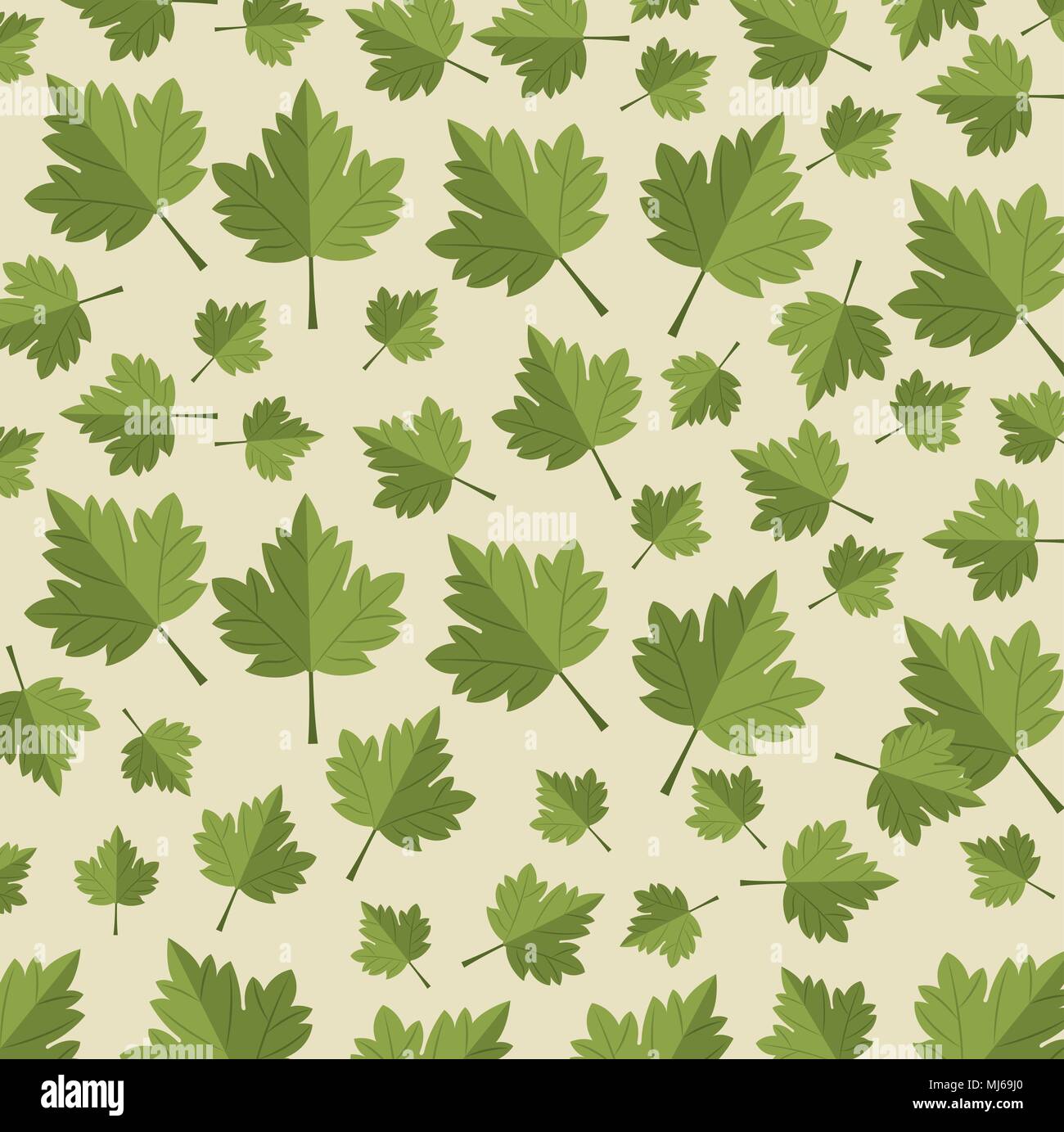 maple leafs canadian pattern background Stock Vector Image & Art - Alamy