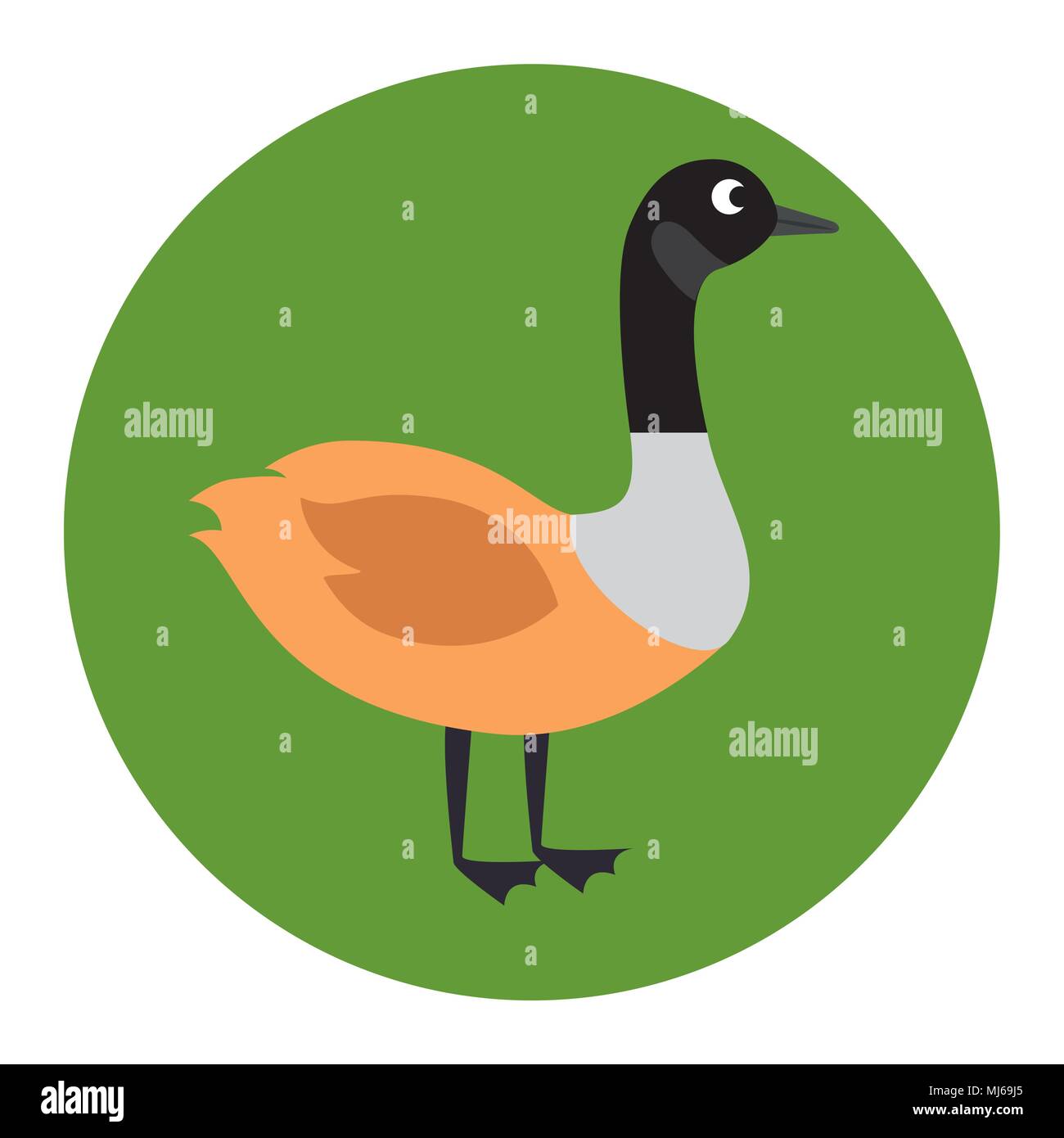 canadian duck scene icon Stock Vector Image & Art - Alamy