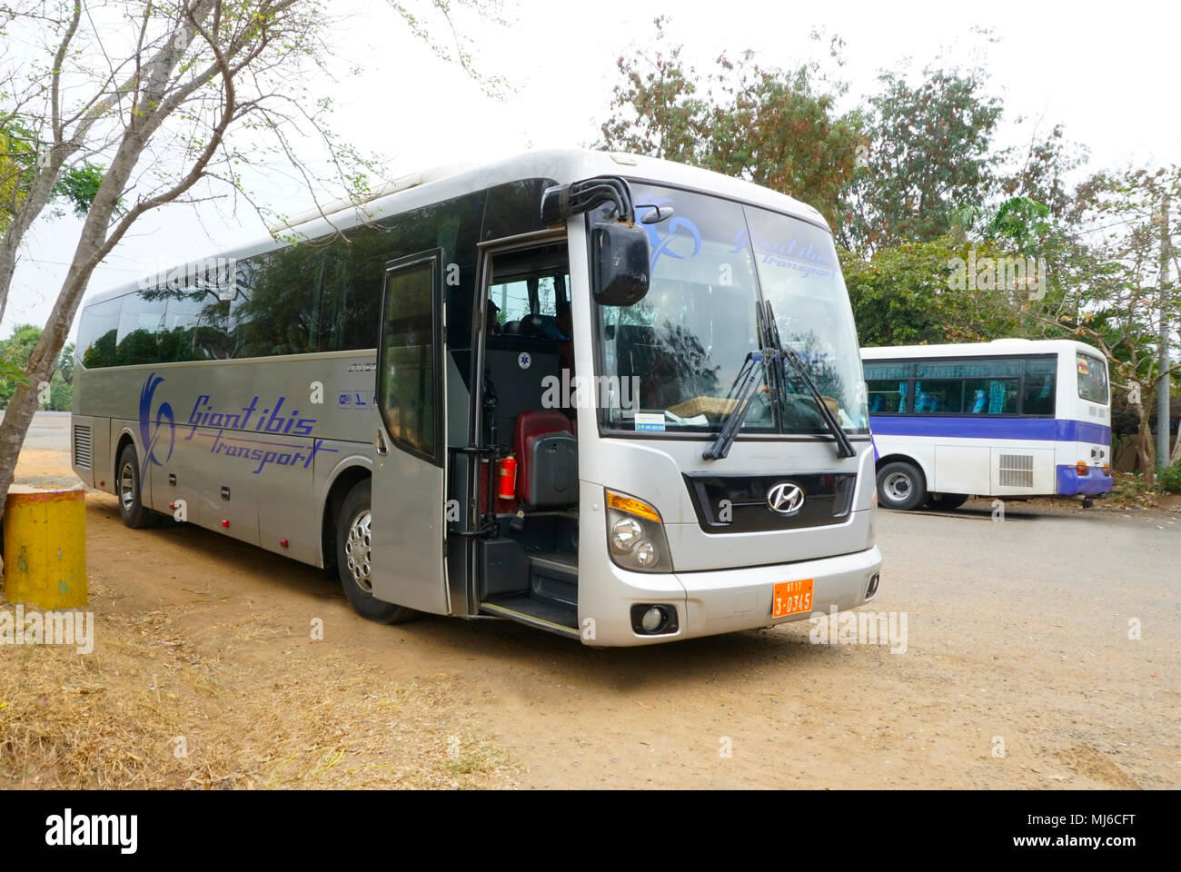 Giant ibis hi-res stock photography and images - Alamy