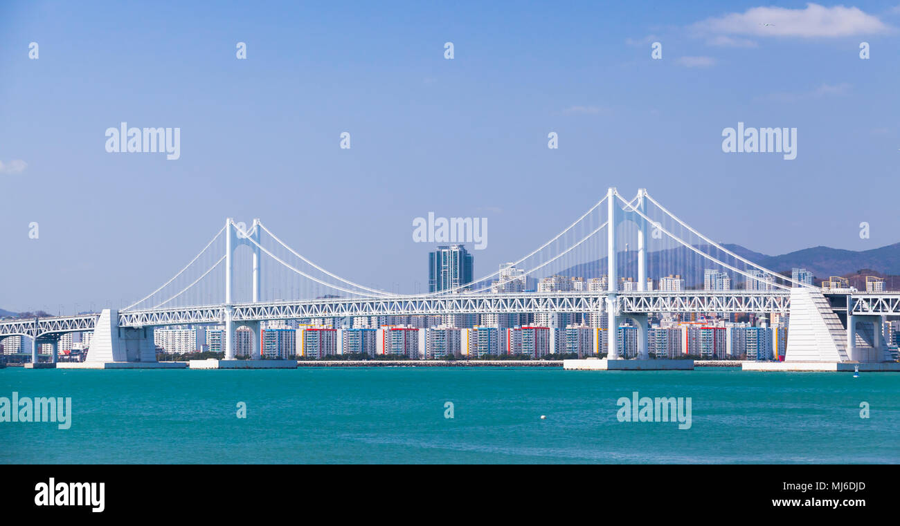 Gwangandaegyo bridge in busan hi-res stock photography and images - Alamy