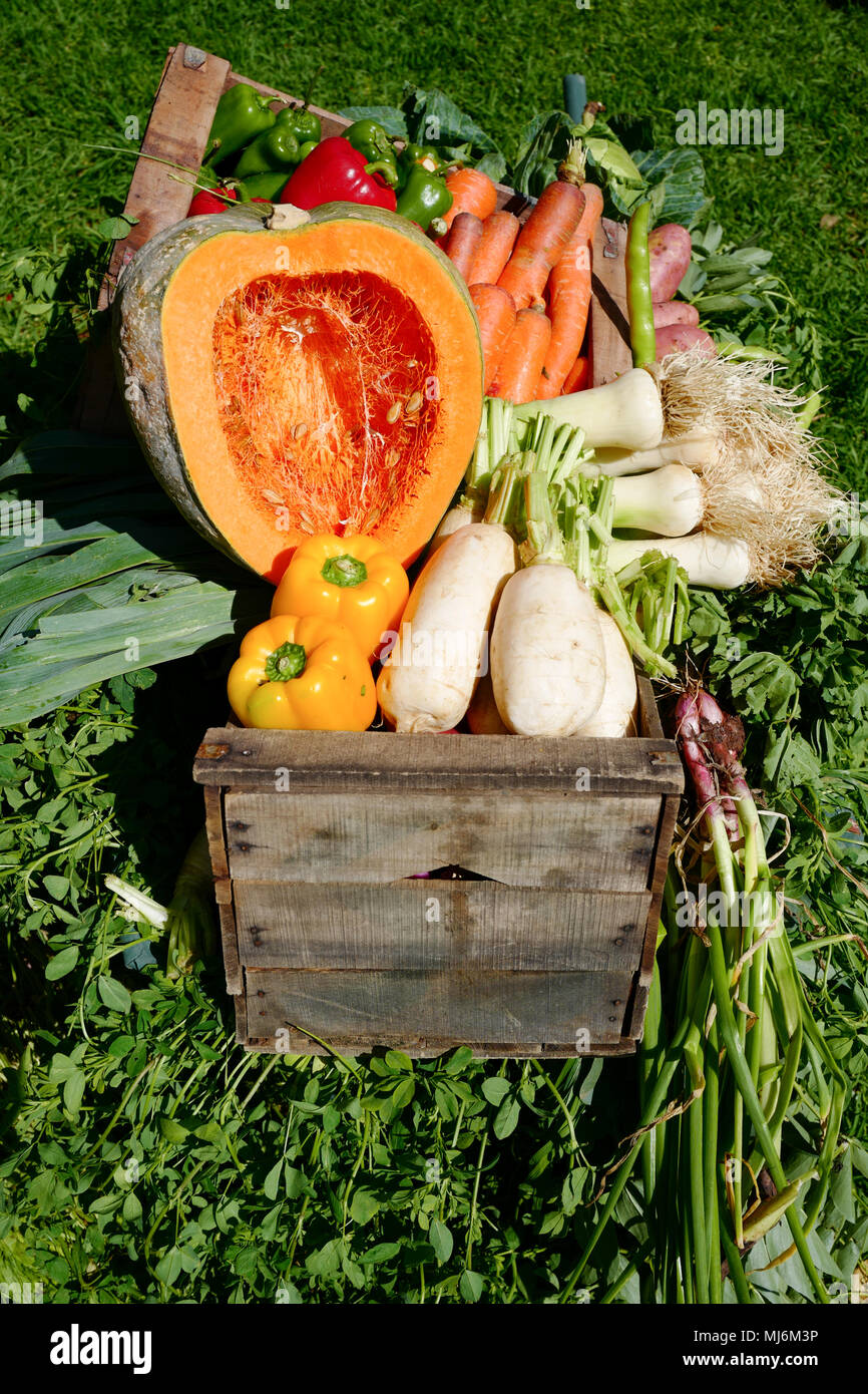 high angle view of fresh vegetables Stock Photo - Alamy