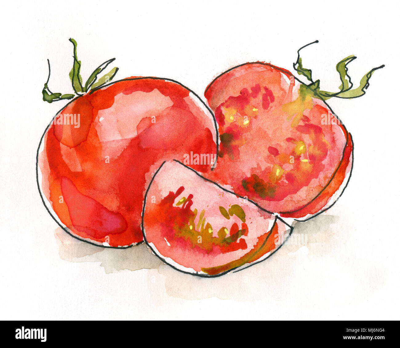 Tomato Watercolor Painting
