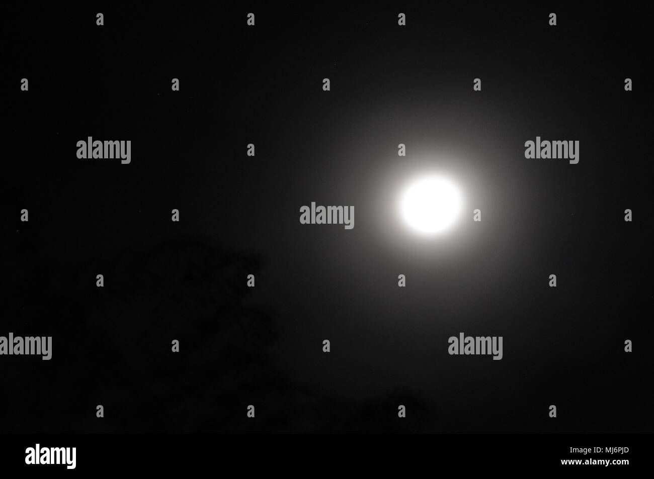 when full moon Stock Photo - Alamy