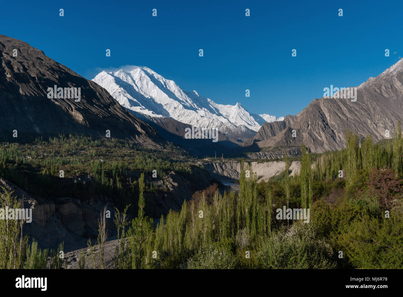 Hunza valley landscape, summer forest and mountain ridge with Rakaposhi ...