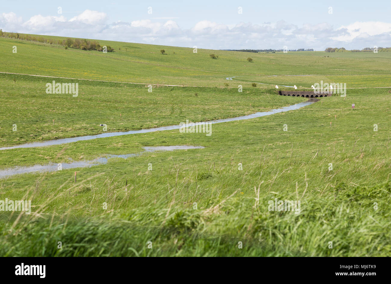 Chitterne Brook, seasonal chalk stream known as a winterbourne in a ...