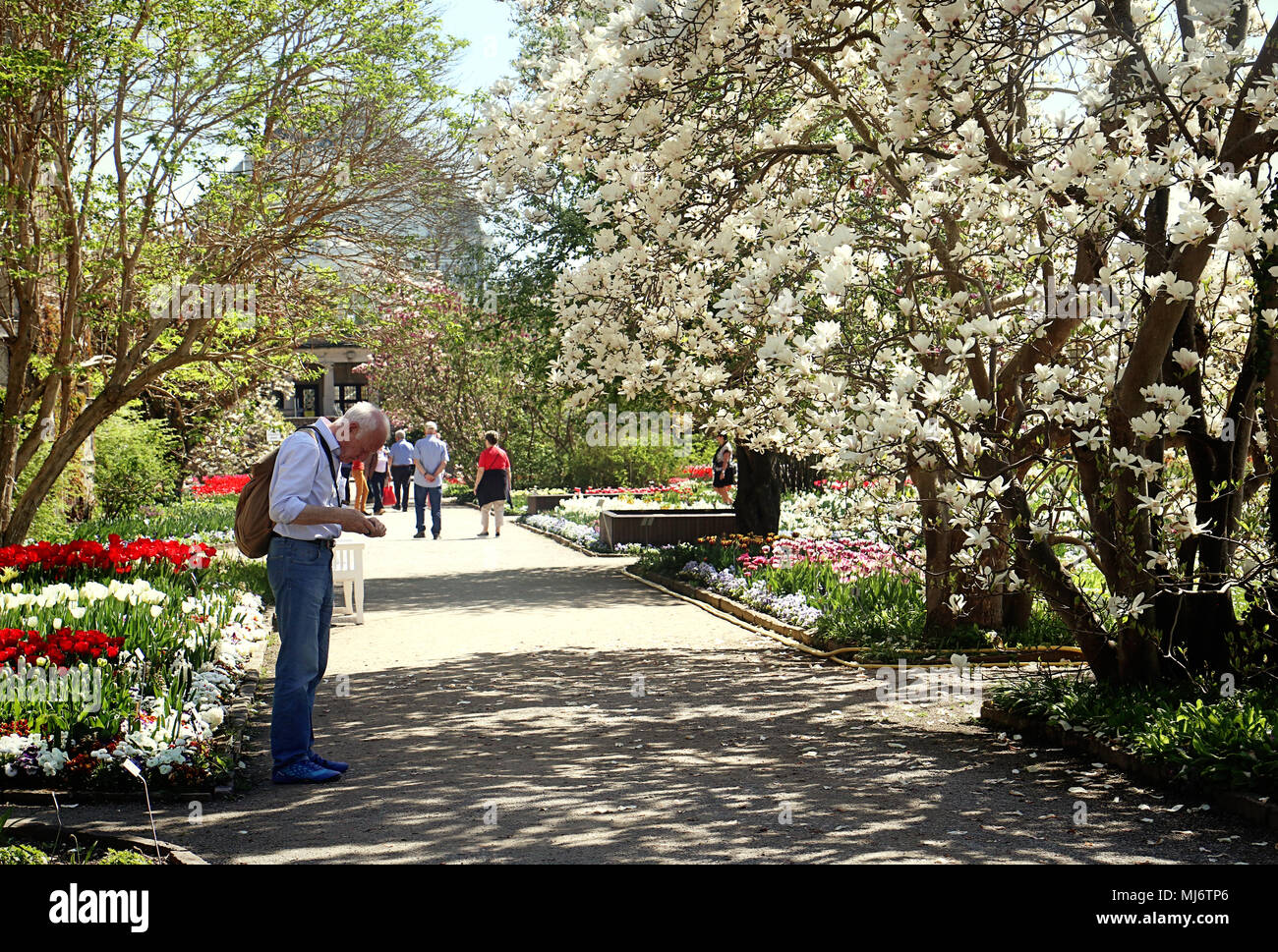 MUNICH, GERMANY - APRIL 20, 2018 - Spring at Botanical garden in Munich ...