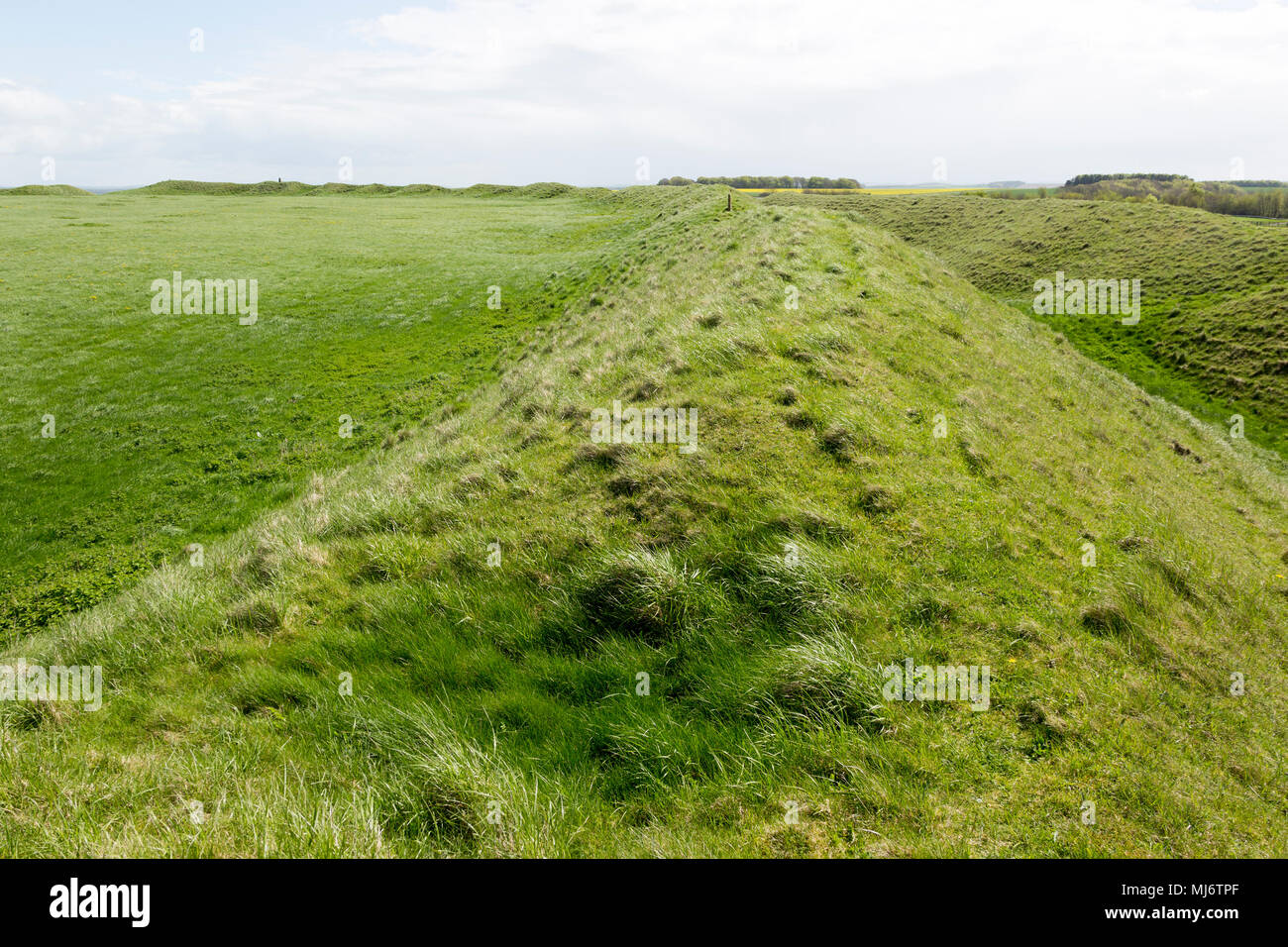 Defensive ramparts and ditch Yarnbury Castle, Iron Age hill fort ...