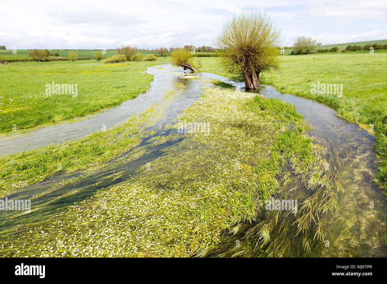 River Till seasonal chalk stream known as a winterbourne, Winterbourne ...