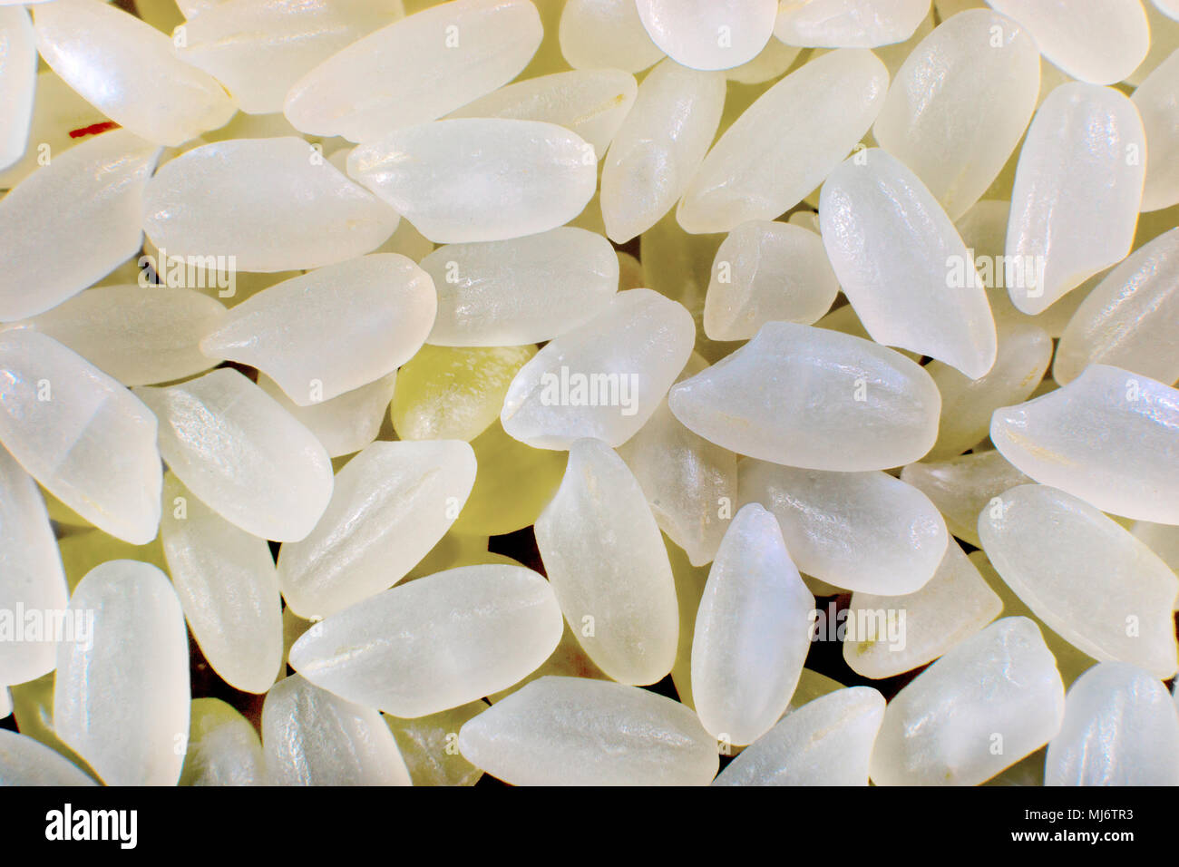 image background of grains of cereals of white raw rice Stock Photo - Alamy