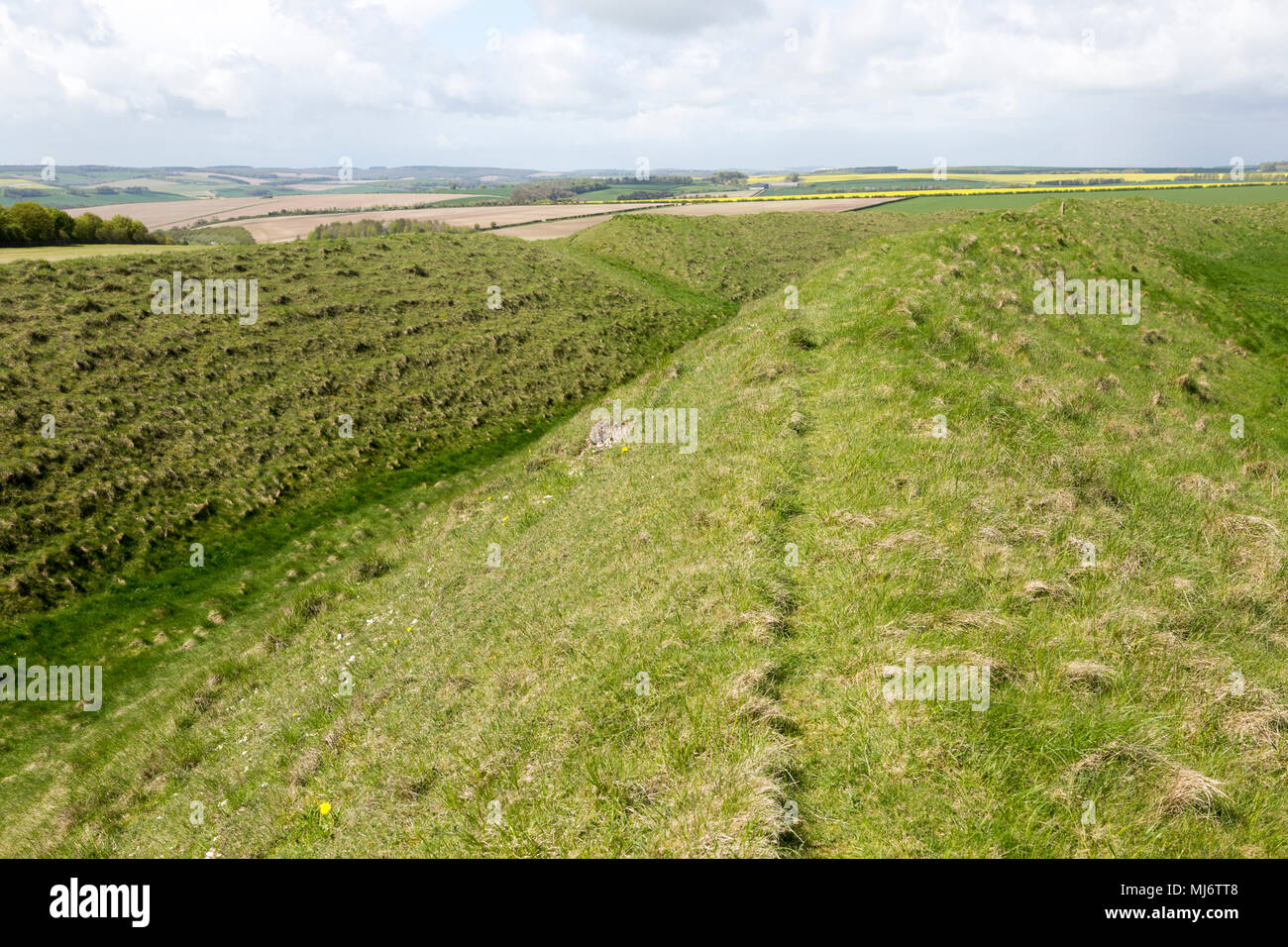 Defensive ramparts and ditch Yarnbury Castle, Iron Age hill fort ...