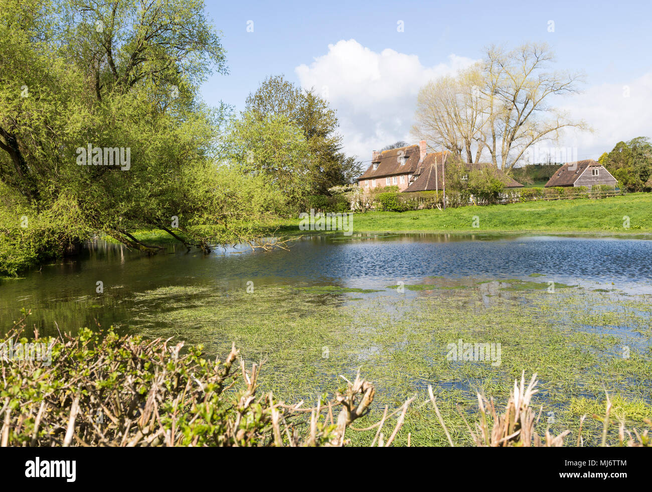 Winterbourne valley hi-res stock photography and images - Alamy