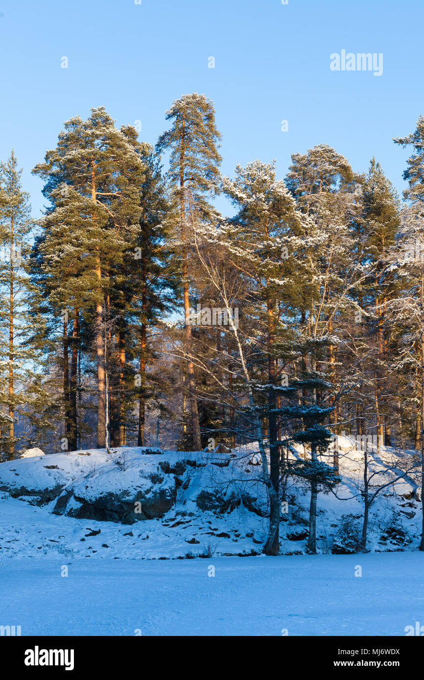Half frost lake hi-res stock photography and images - Alamy