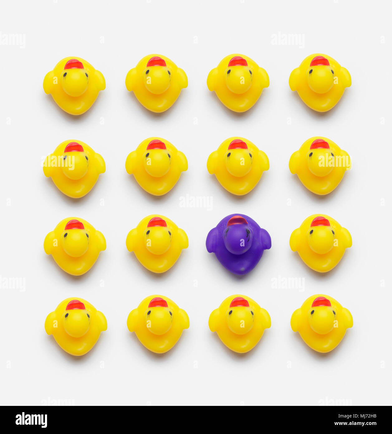 Plastic black duck hi-res stock photography and images - Alamy