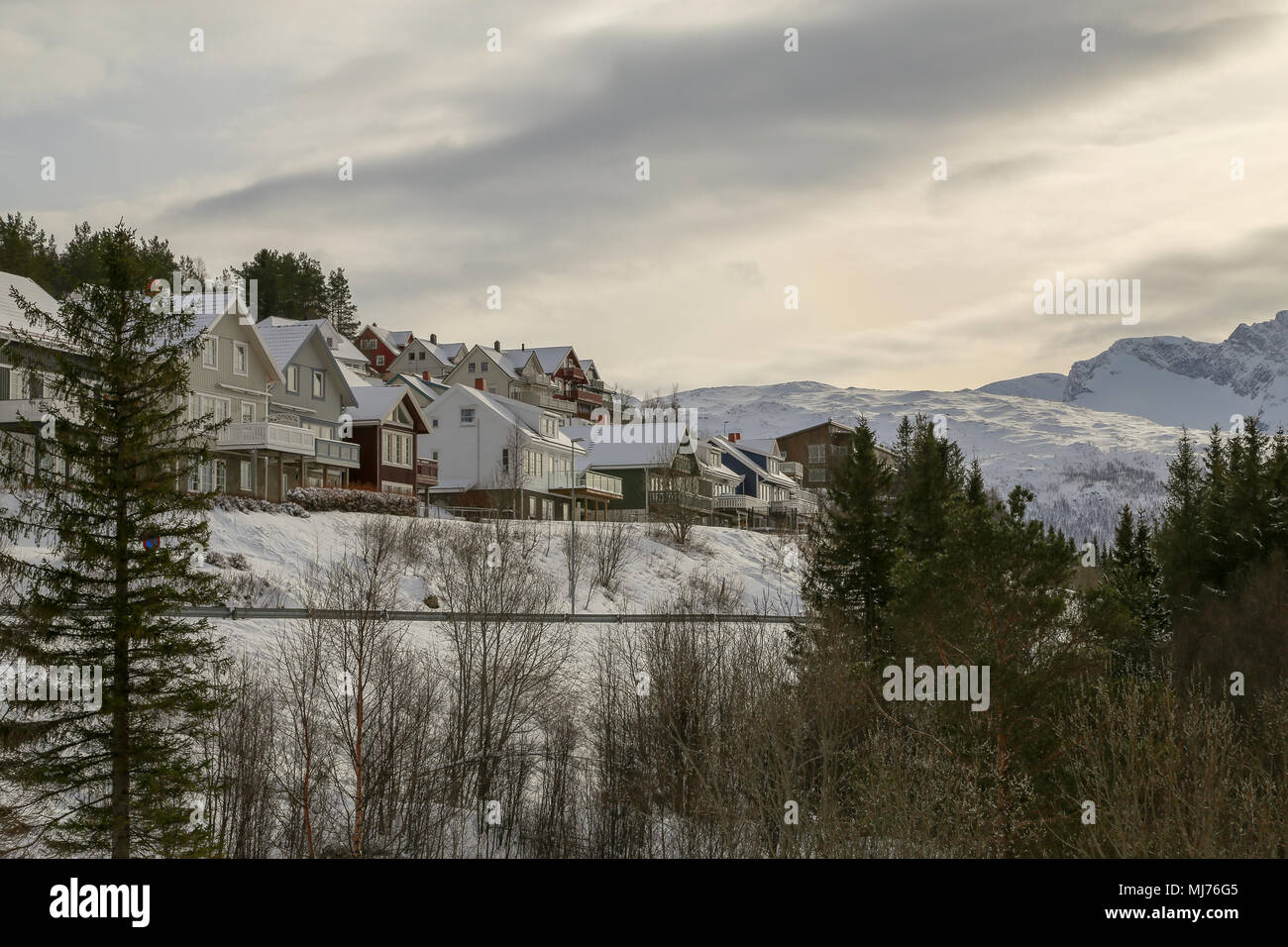 Norway, houses at the mountain slope above Narvik city on a winter day ...