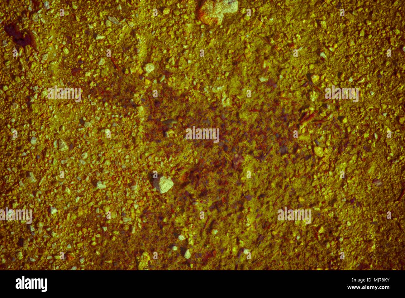 Ultra orange Ground texture, sand surface, stone background Stock Photo ...